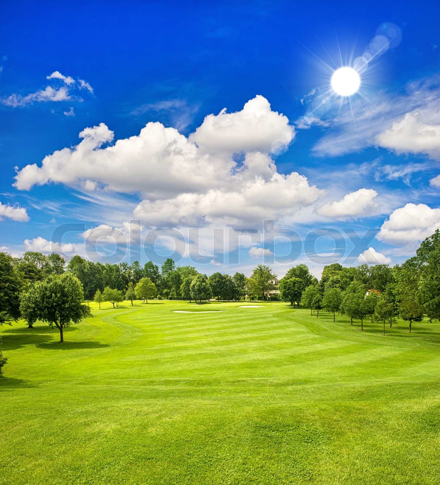 golf course and blue sunny sky | Stock image | Colourbox