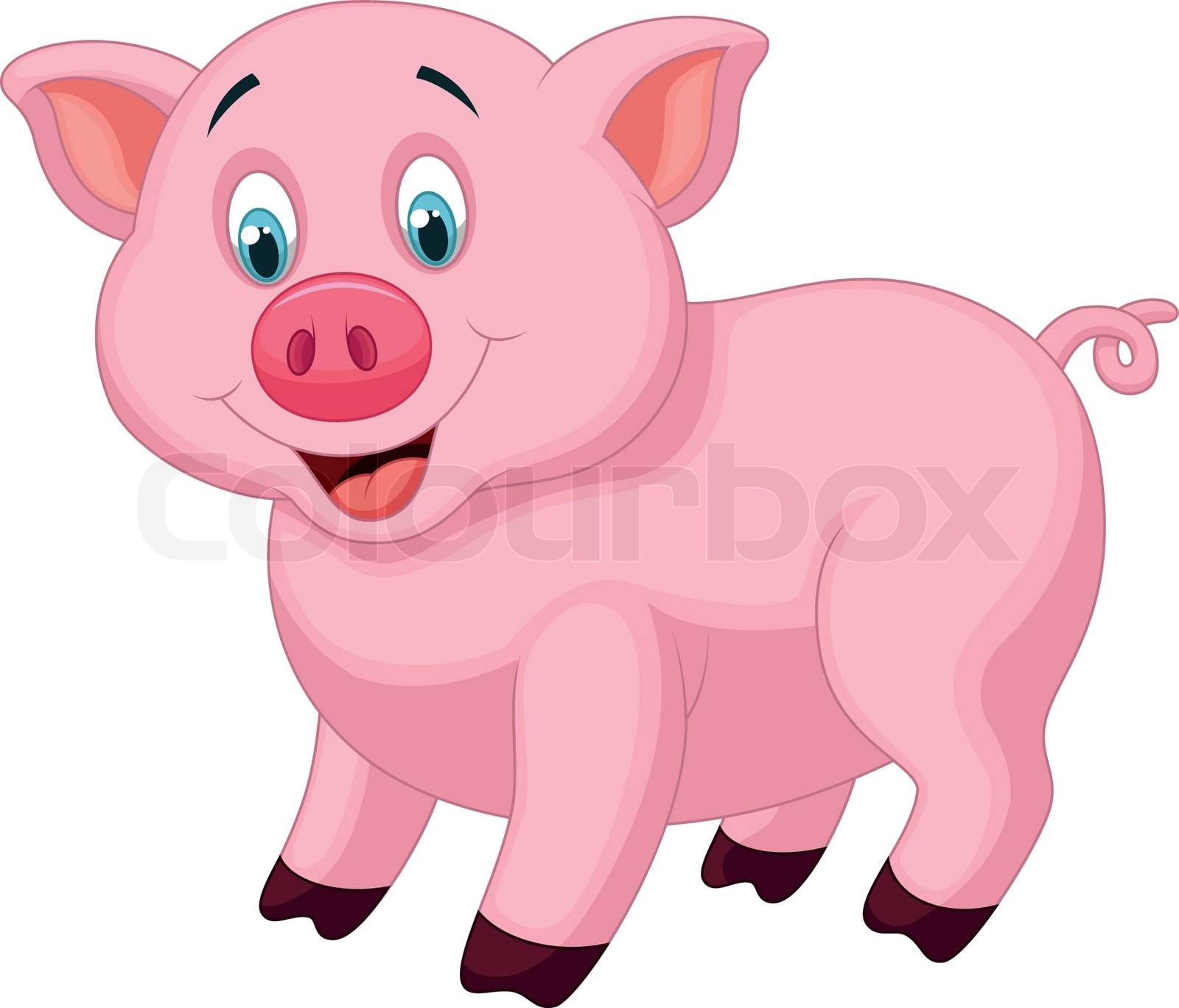 Pink Pigs Cartoon