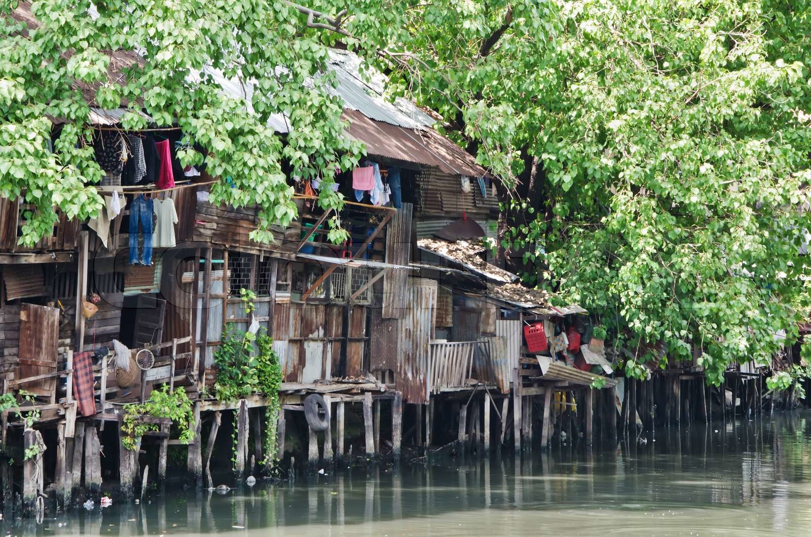 Slum on dirty canal | Stock image | Colourbox