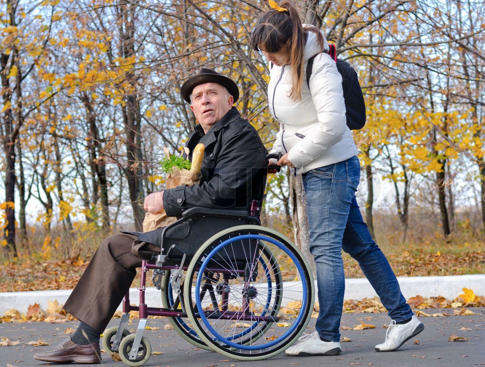 Woman pushing an elderly man in a wheelchair | Stock image | Colourbox