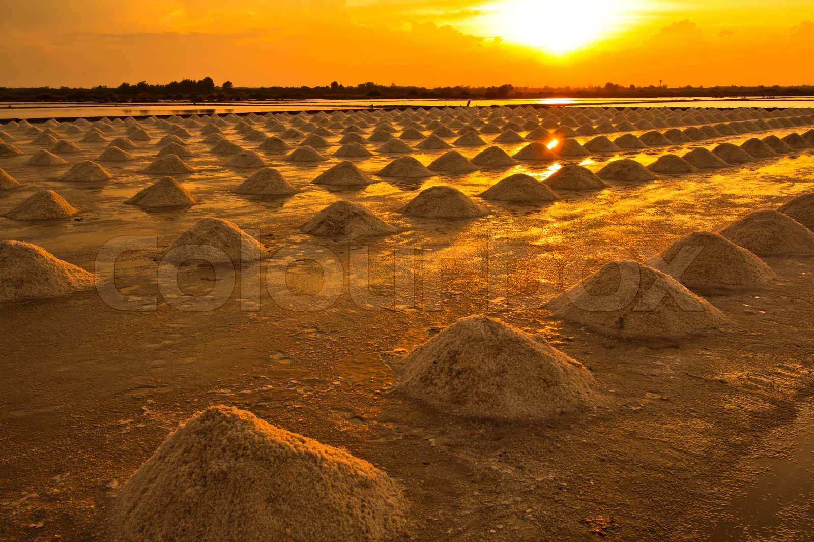 Salt fields in thailand | Stock image | Colourbox