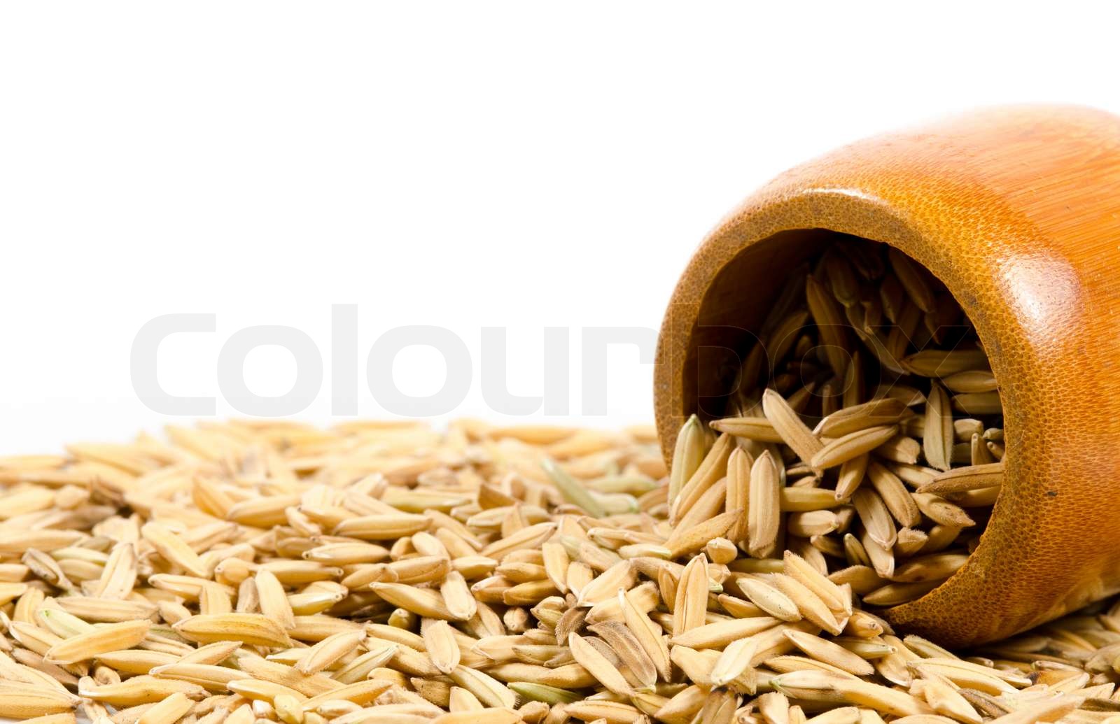 Paddy rice | Stock image | Colourbox