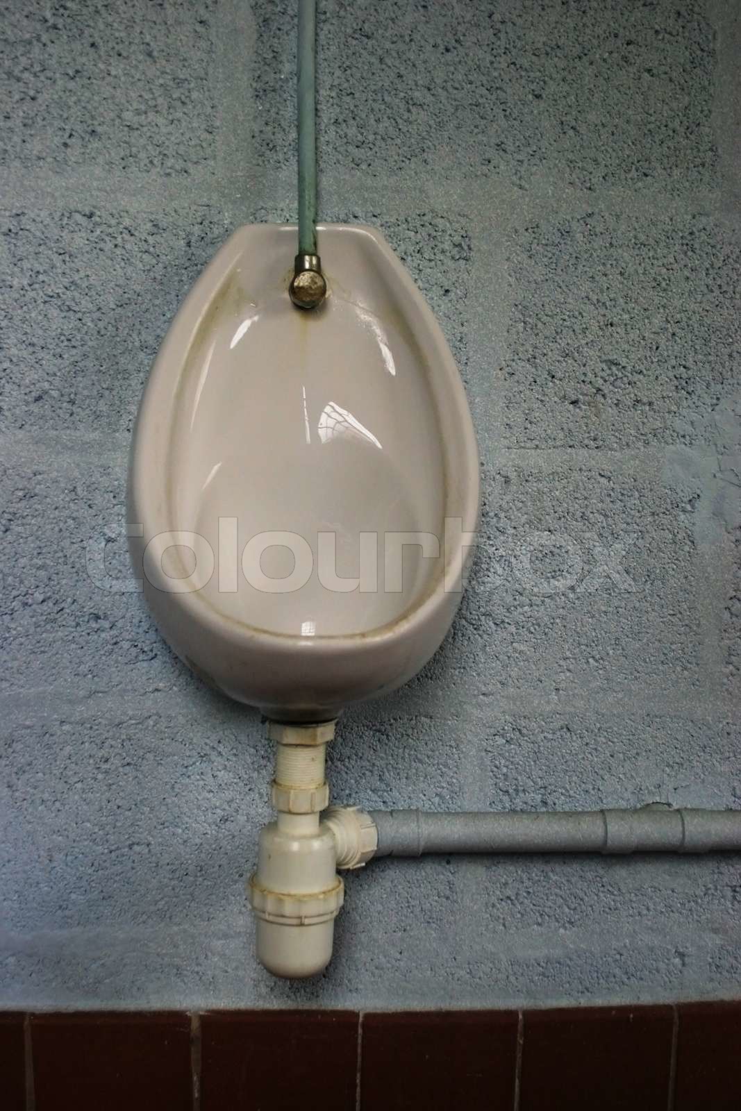 Porcelain urinal on blue wall | Stock image | Colourbox