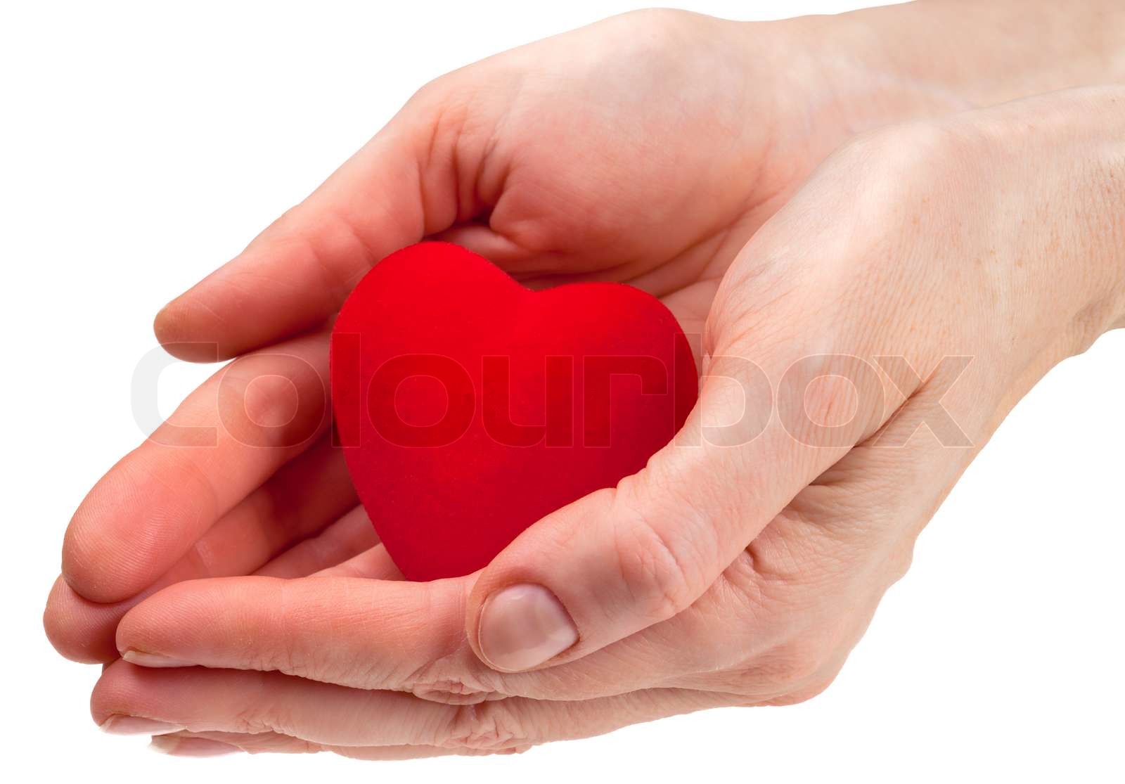 Heart symbol in woman hands | Stock image | Colourbox