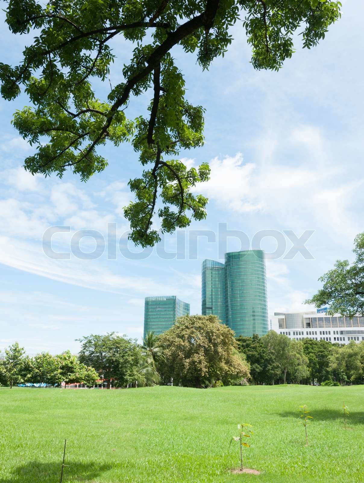 modern apartment building with green grass and blue sky | Stock image ...