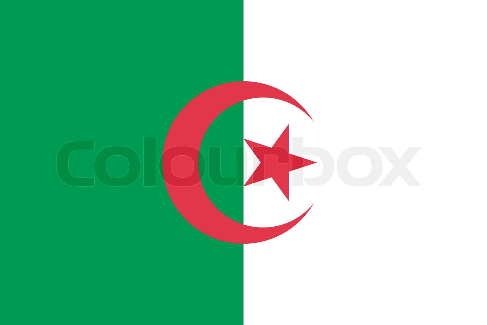 original and simple Algeria flag isolated vector in official colors and ...