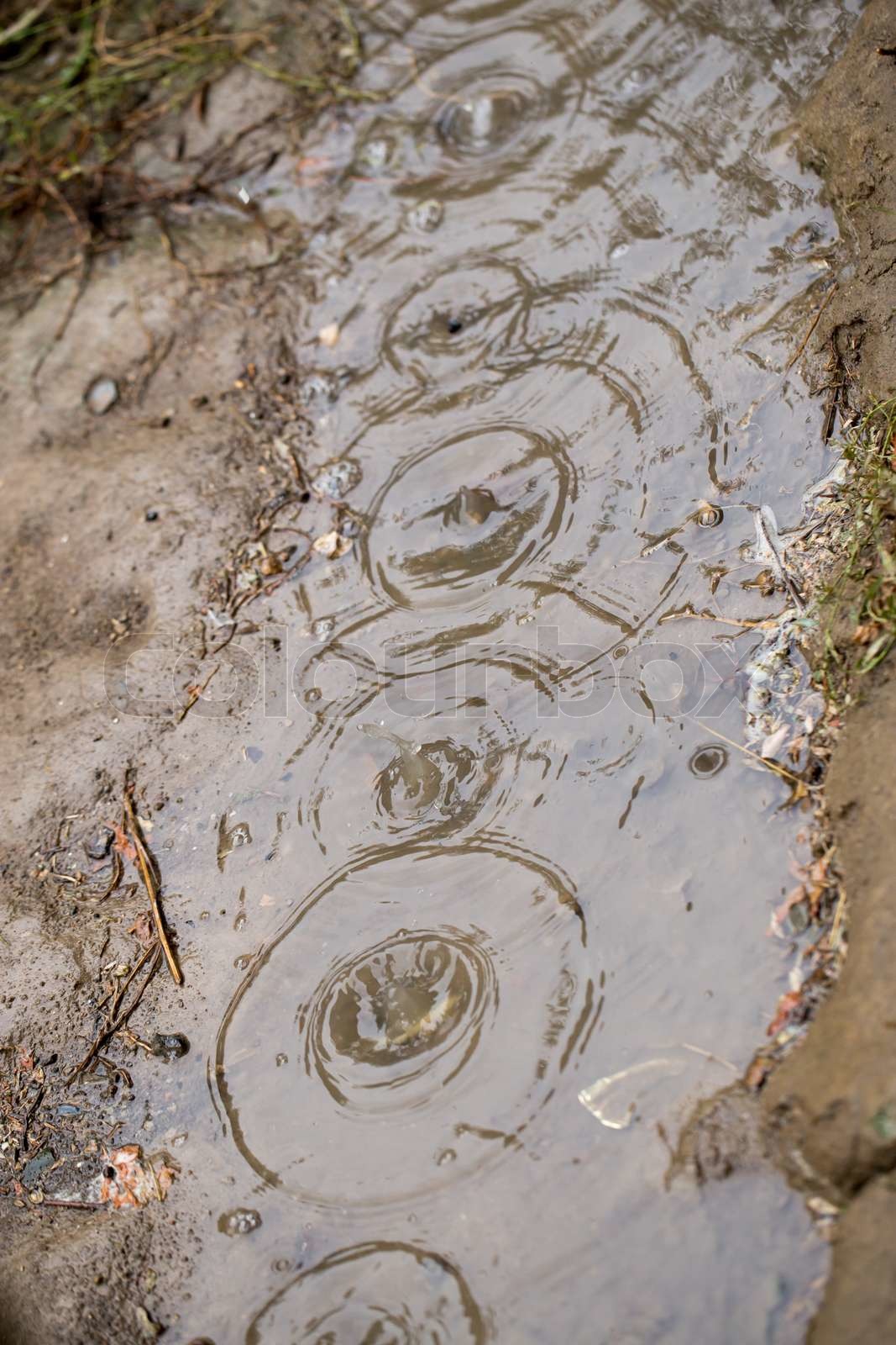 drops of water dripping into a puddle | Stock image | Colourbox