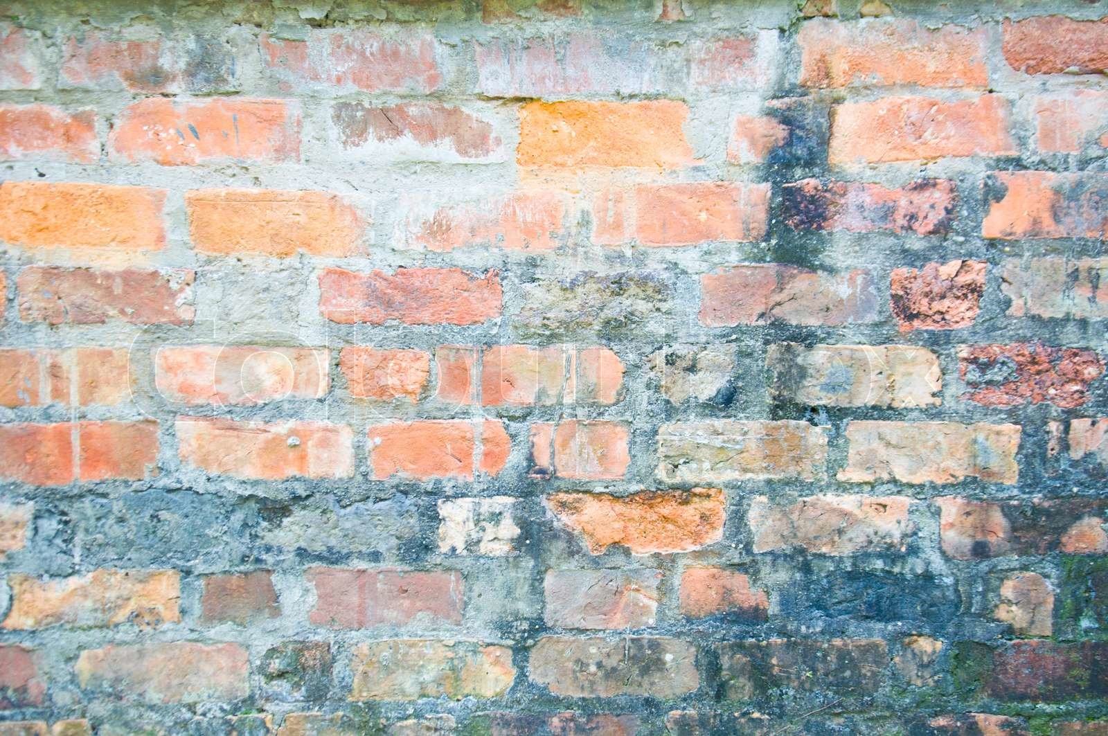 Verwunderlich Alte Mauer Garten Bilder