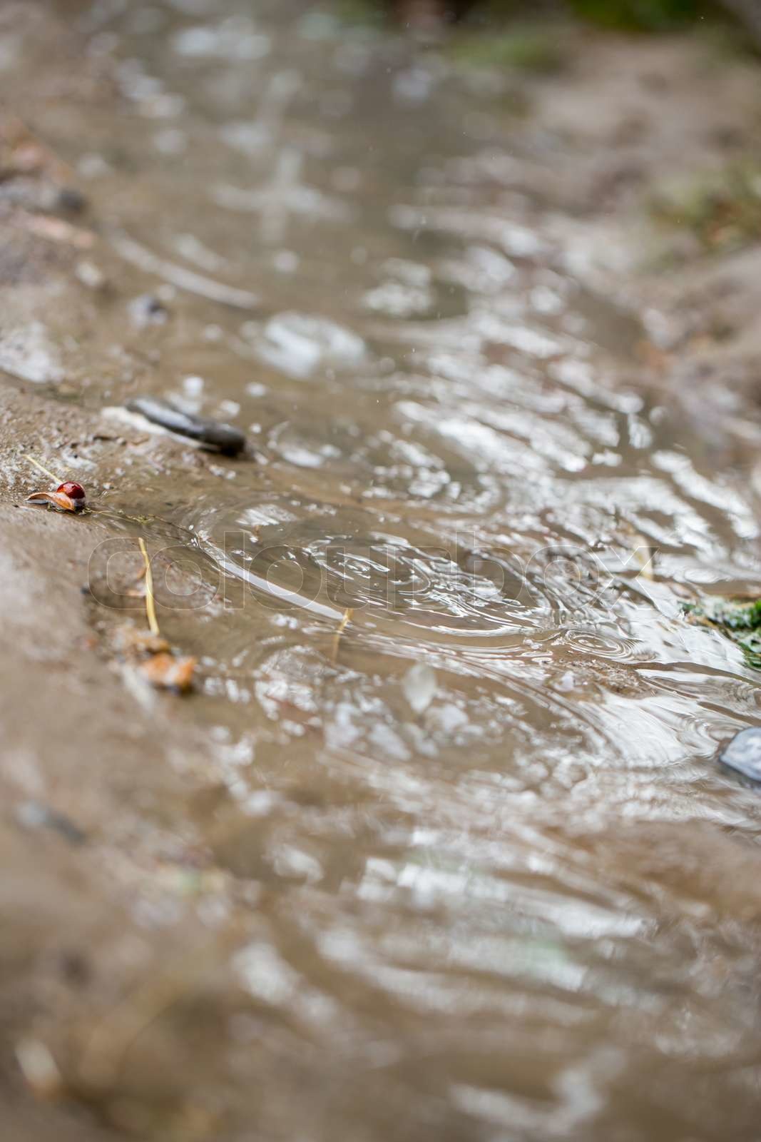 drops of water dripping into a puddle | Stock image | Colourbox