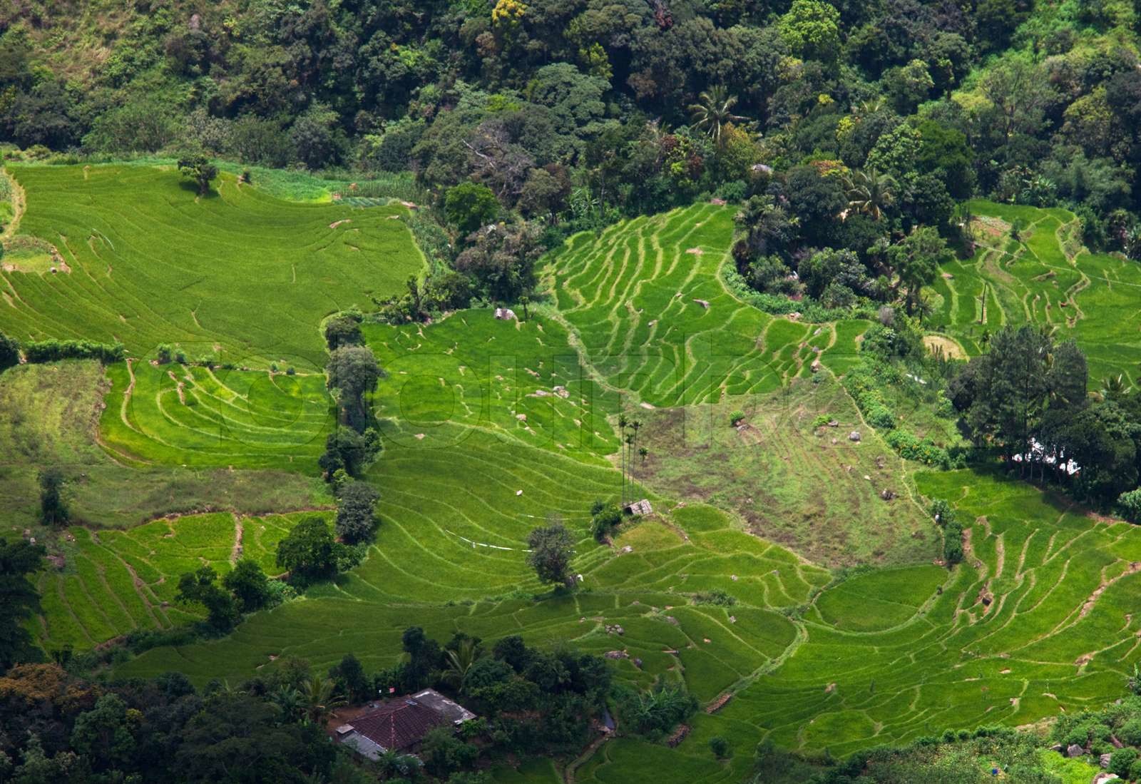 Sri Lanka landscapes | Stock image | Colourbox