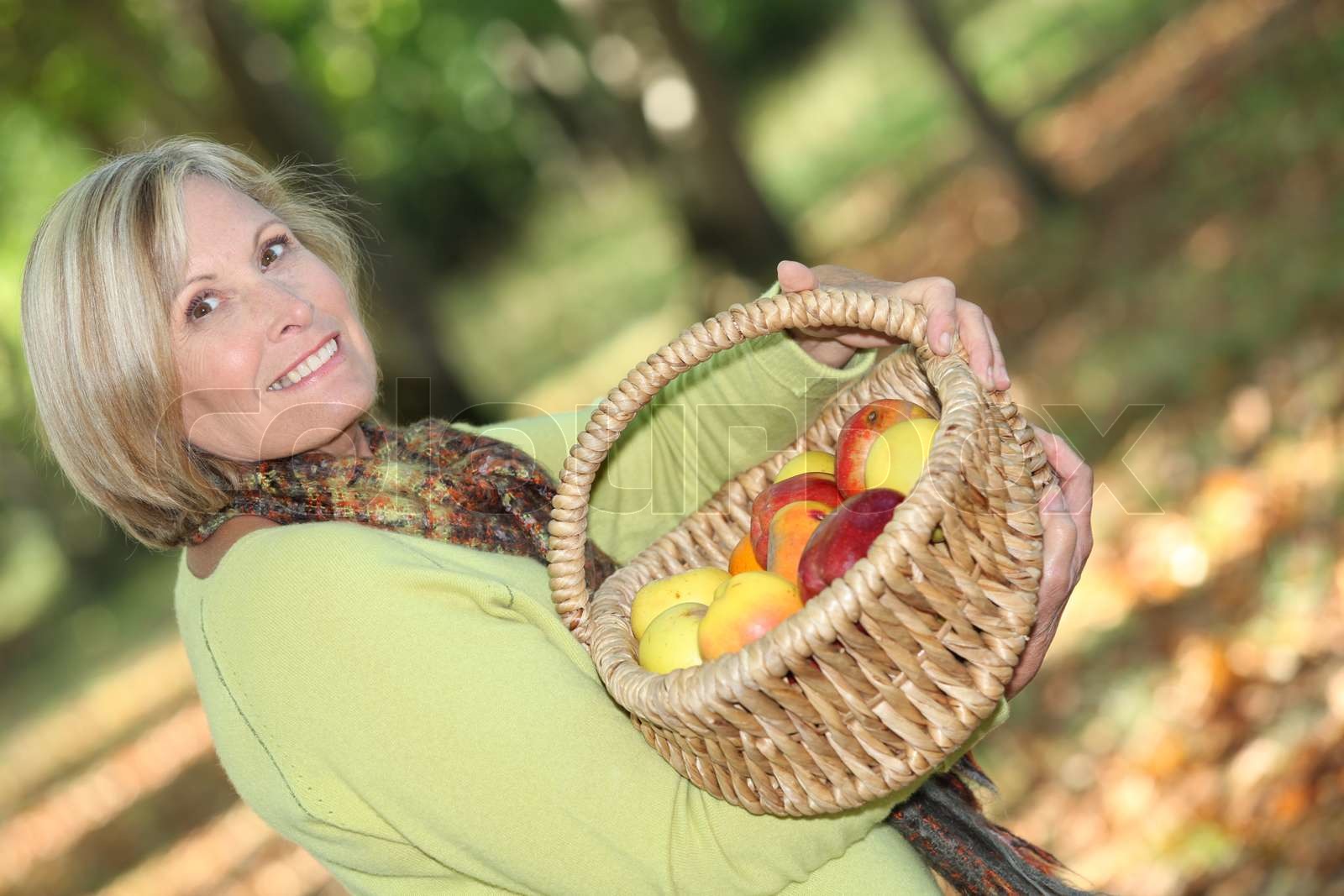 Woman picking apples | Stock image | Colourbox