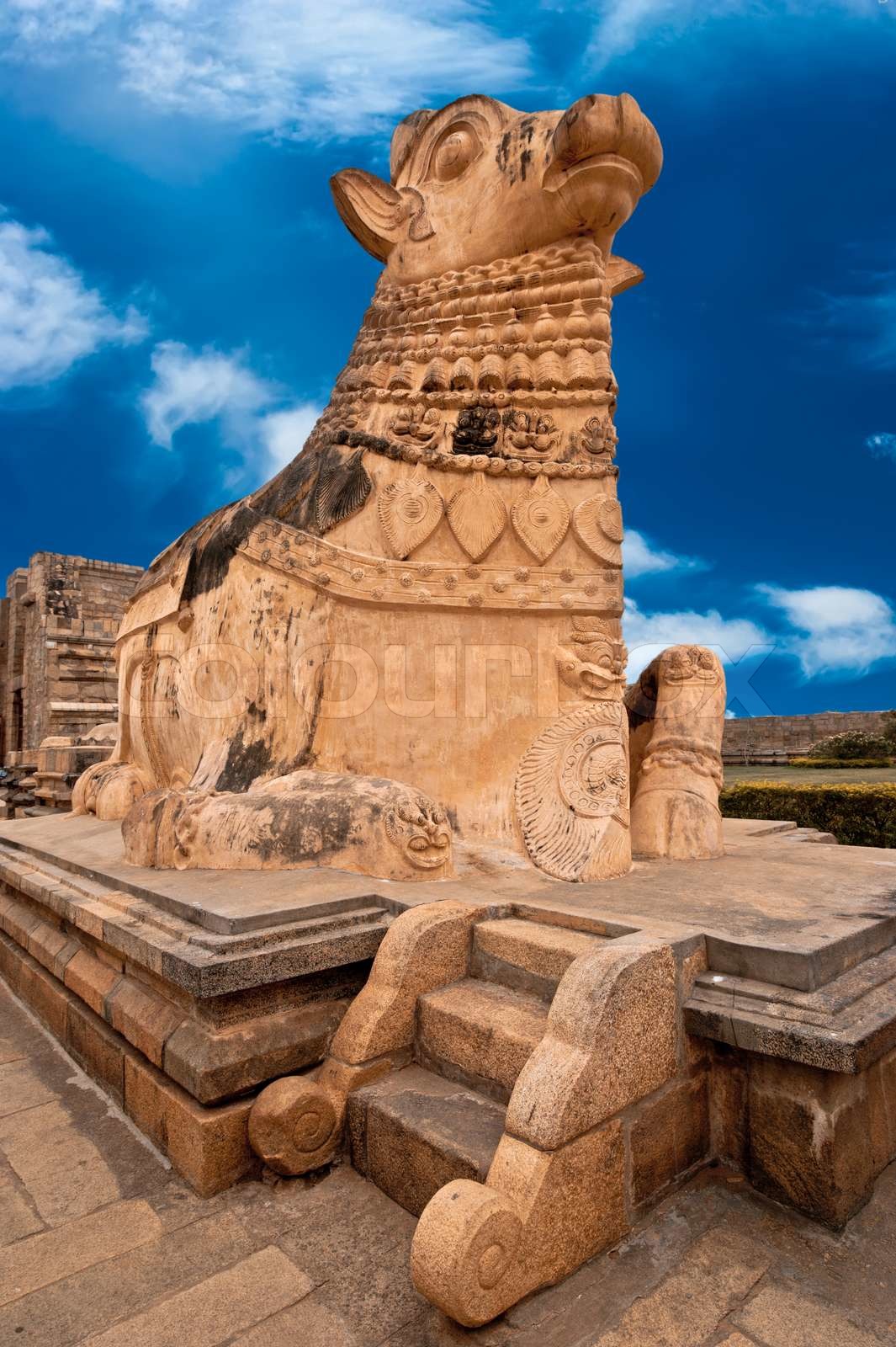 Big statue af Nandi Bull foran Hindu Gangaikonda Cholapuram tempel i ...
