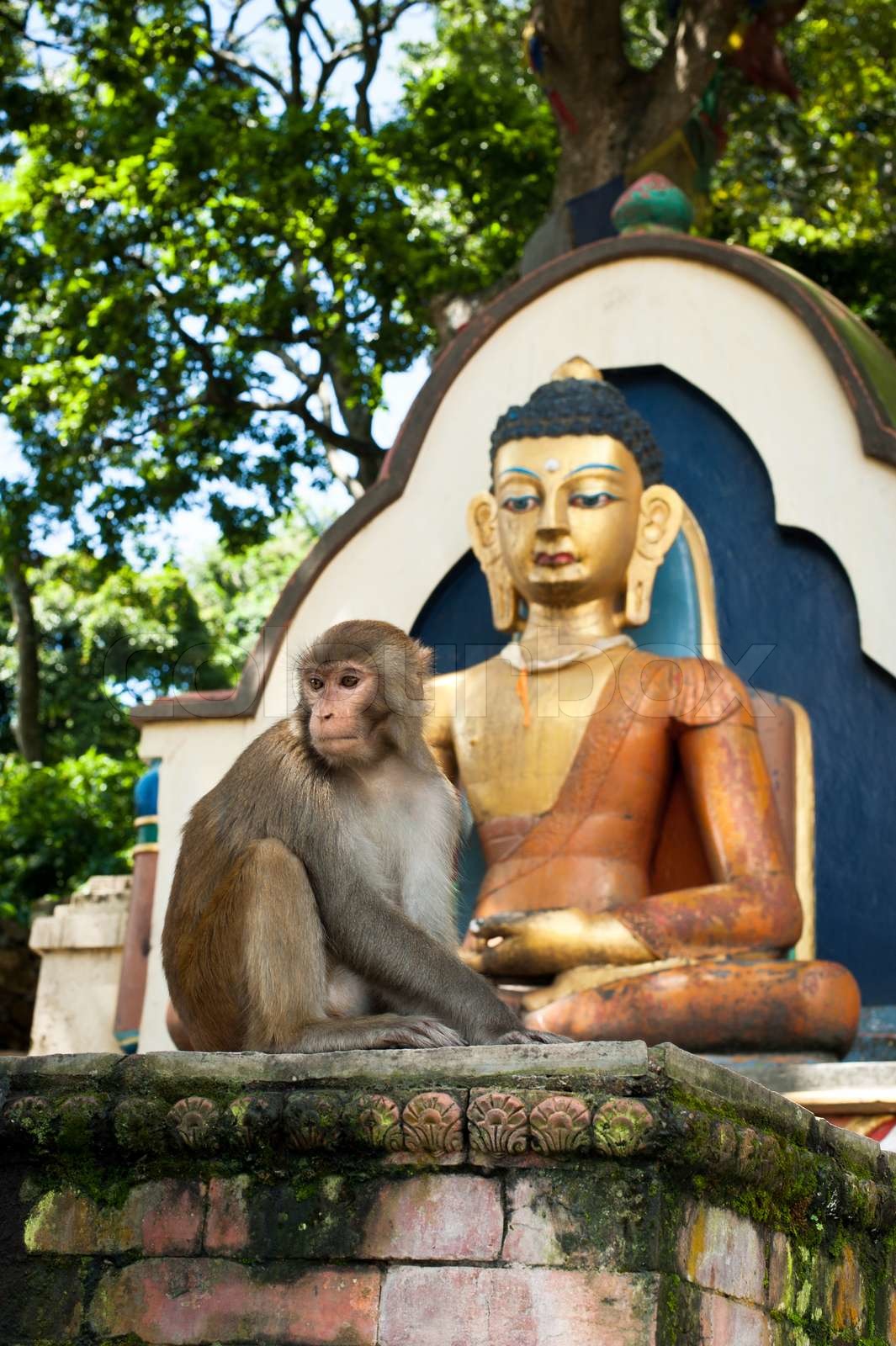 Monkey sitting near Buddha statue at Buddhist shrine Swayambhunath ...