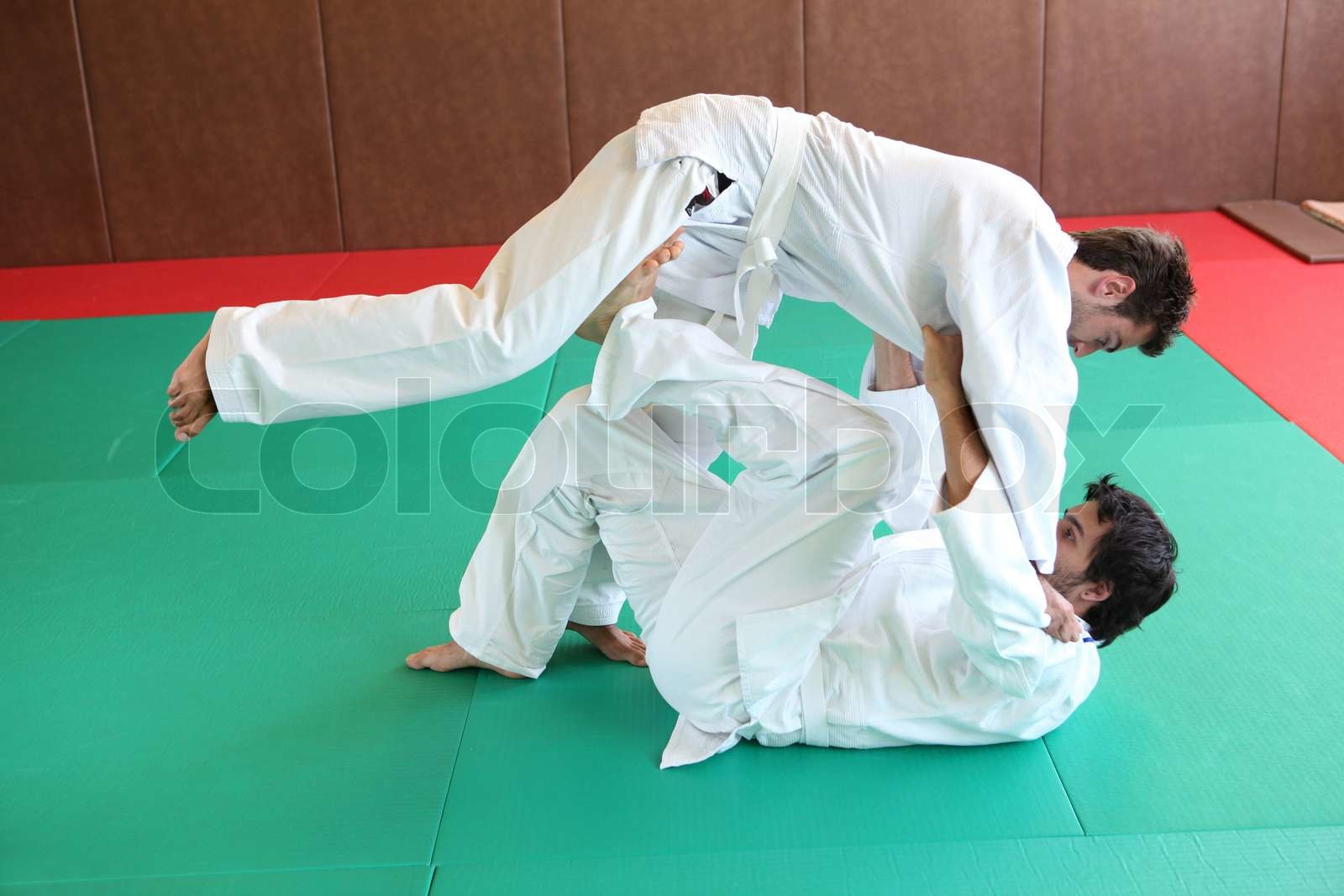 Judo hold | Stock foto | Colourbox