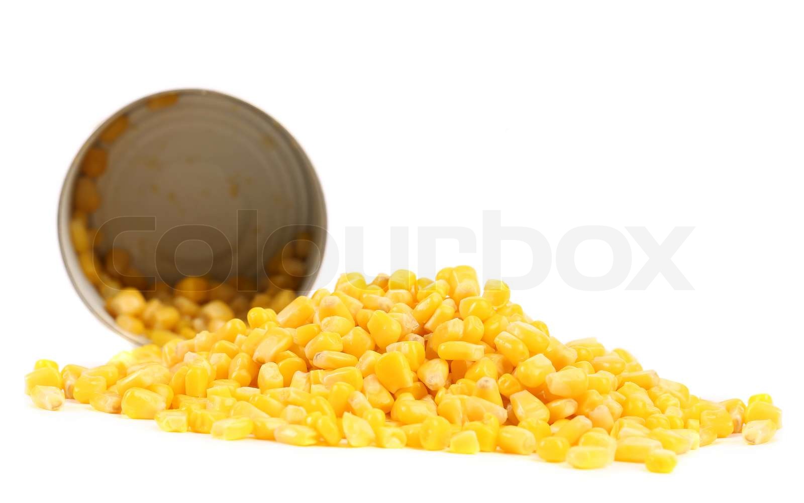 Fresh corn in can | Stock image | Colourbox