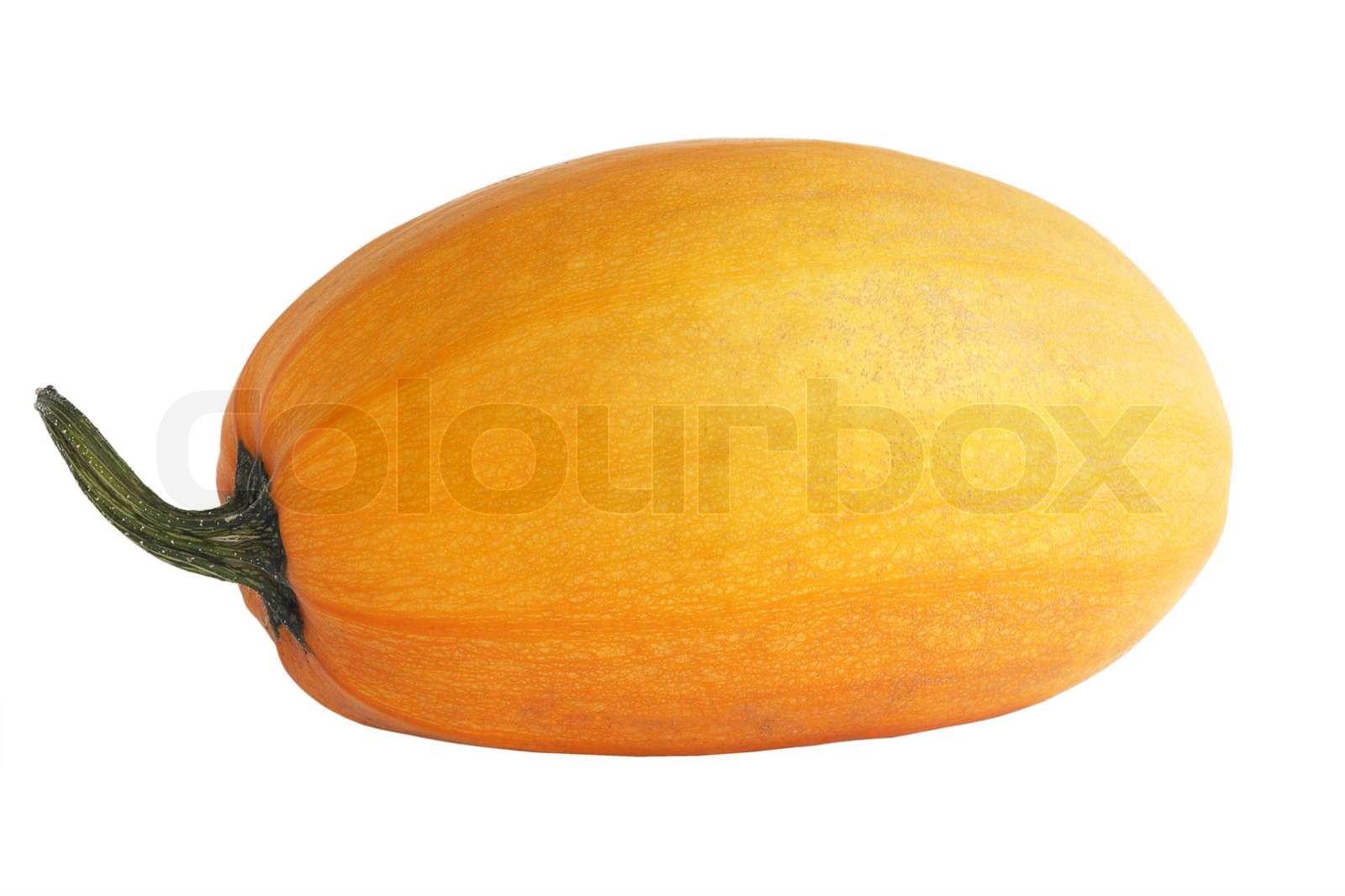 oblong pumpkin | Stock image | Colourbox