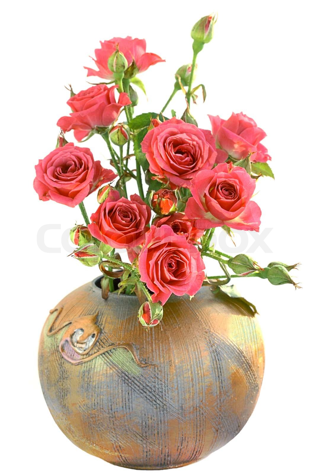 Roser i vase | Stock foto | Colourbox