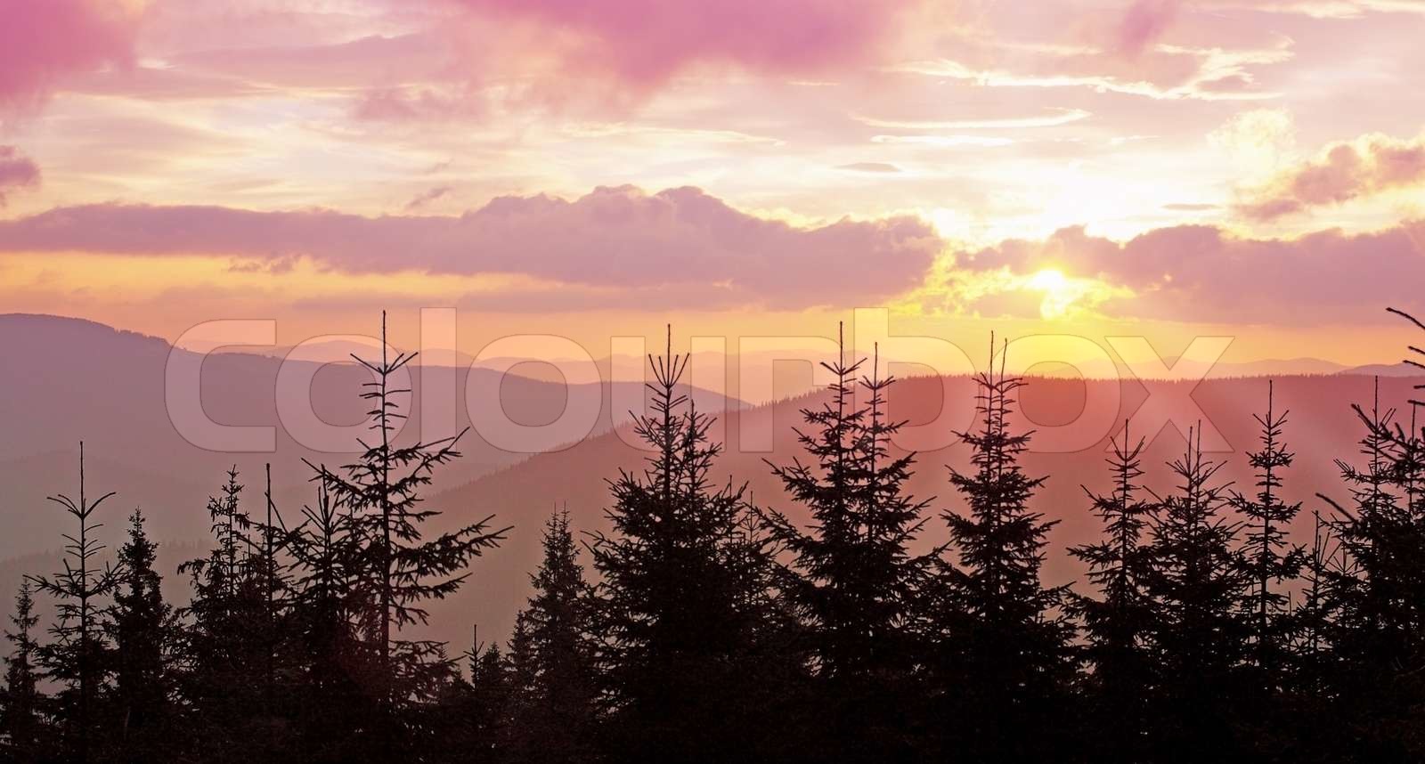 Pink dawn | Stock image | Colourbox