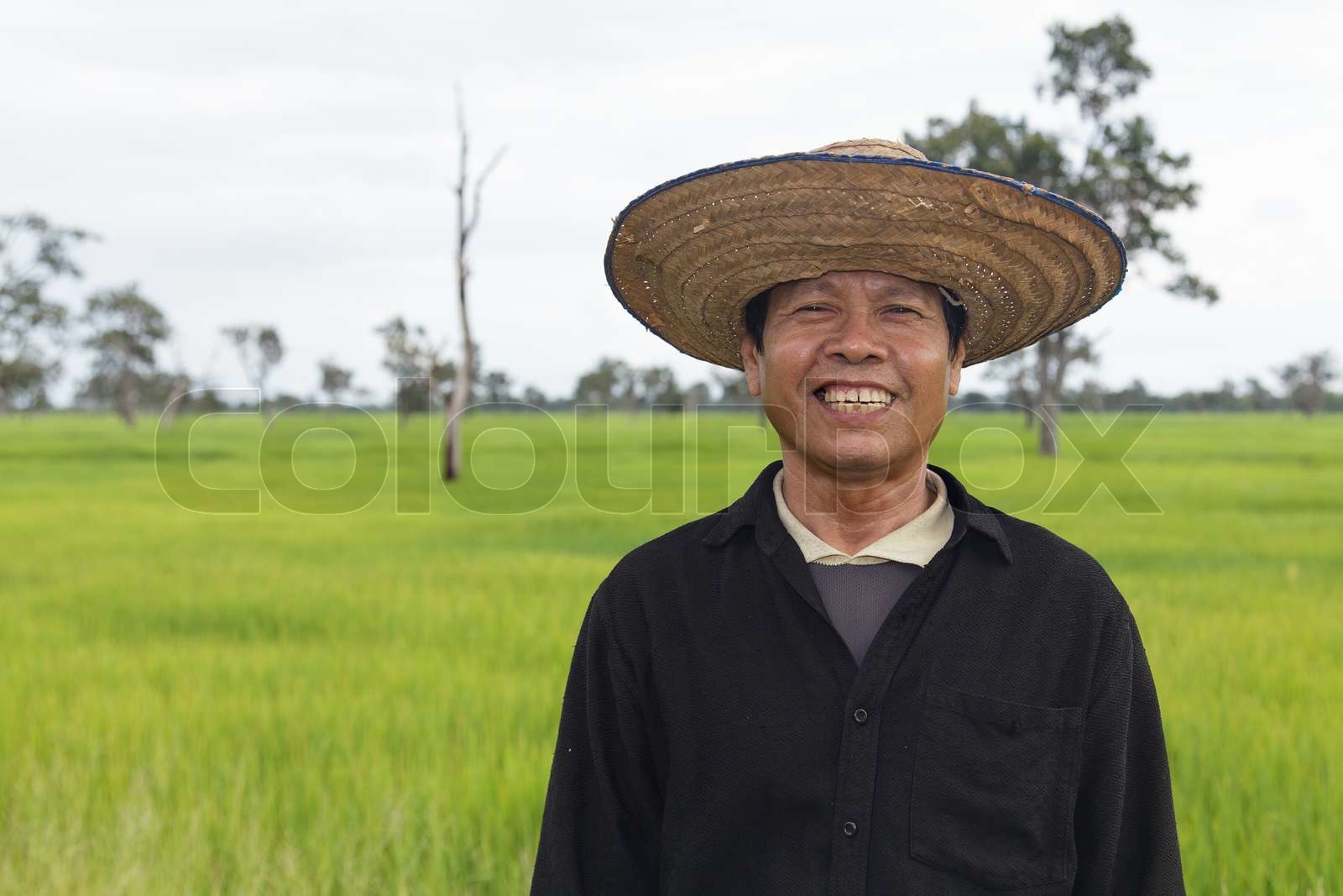 Farmer in the rice field | Stock image | Colourbox
