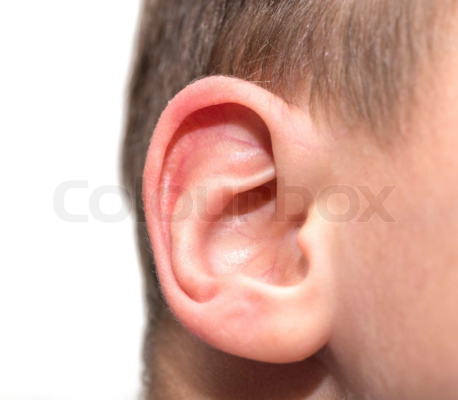 ear men macro | Stock image | Colourbox