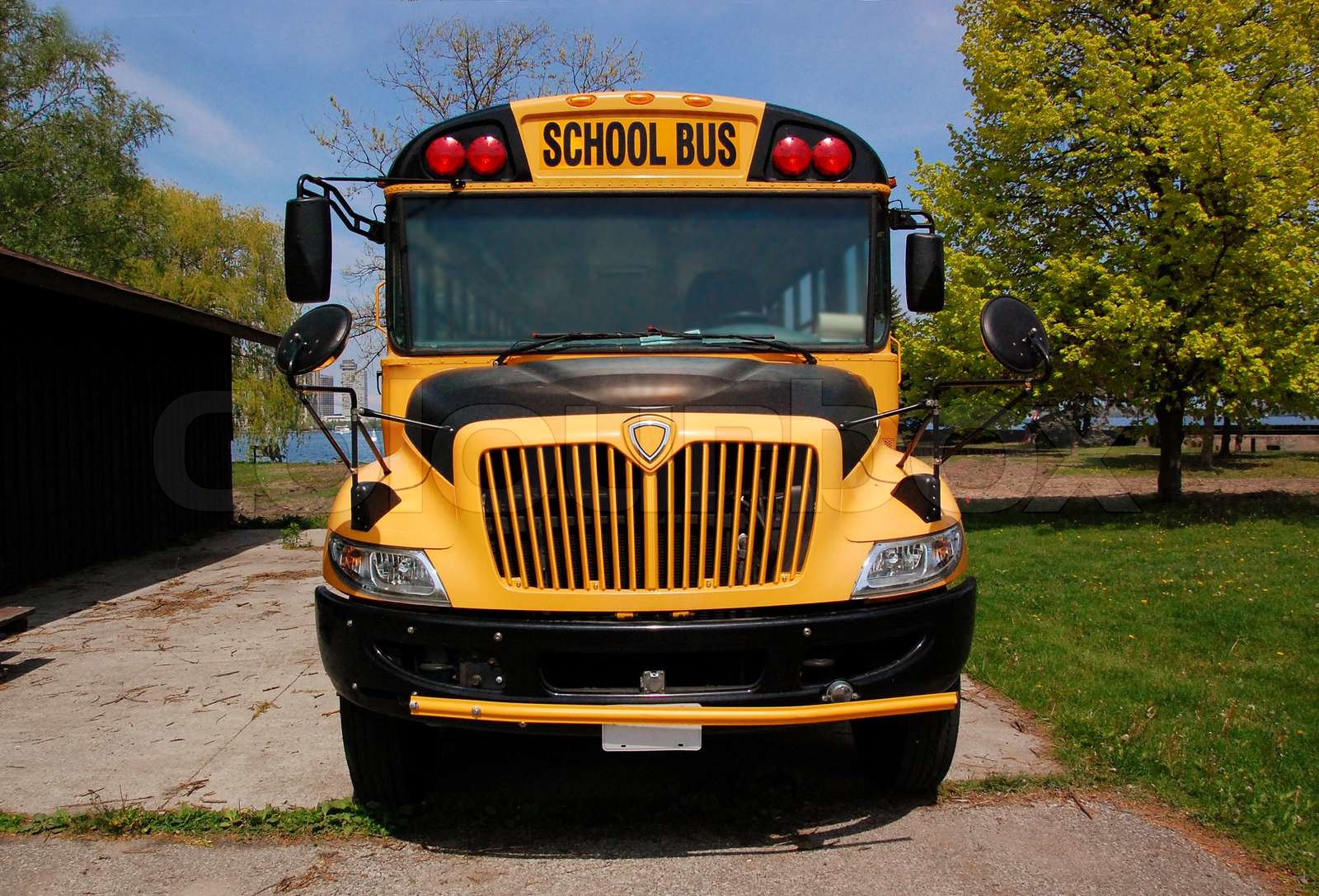 Yellow school bus | Stock image | Colourbox