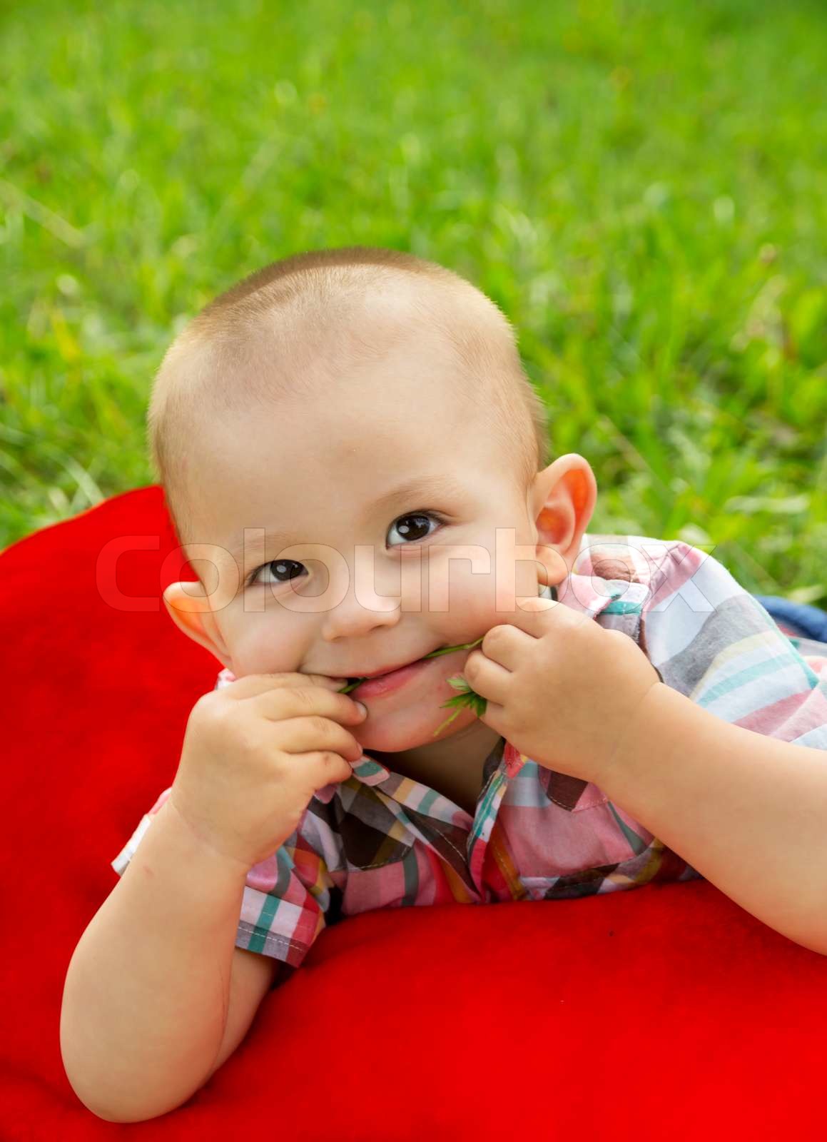 ein kleines Kind spielt | Stock Bild | Colourbox