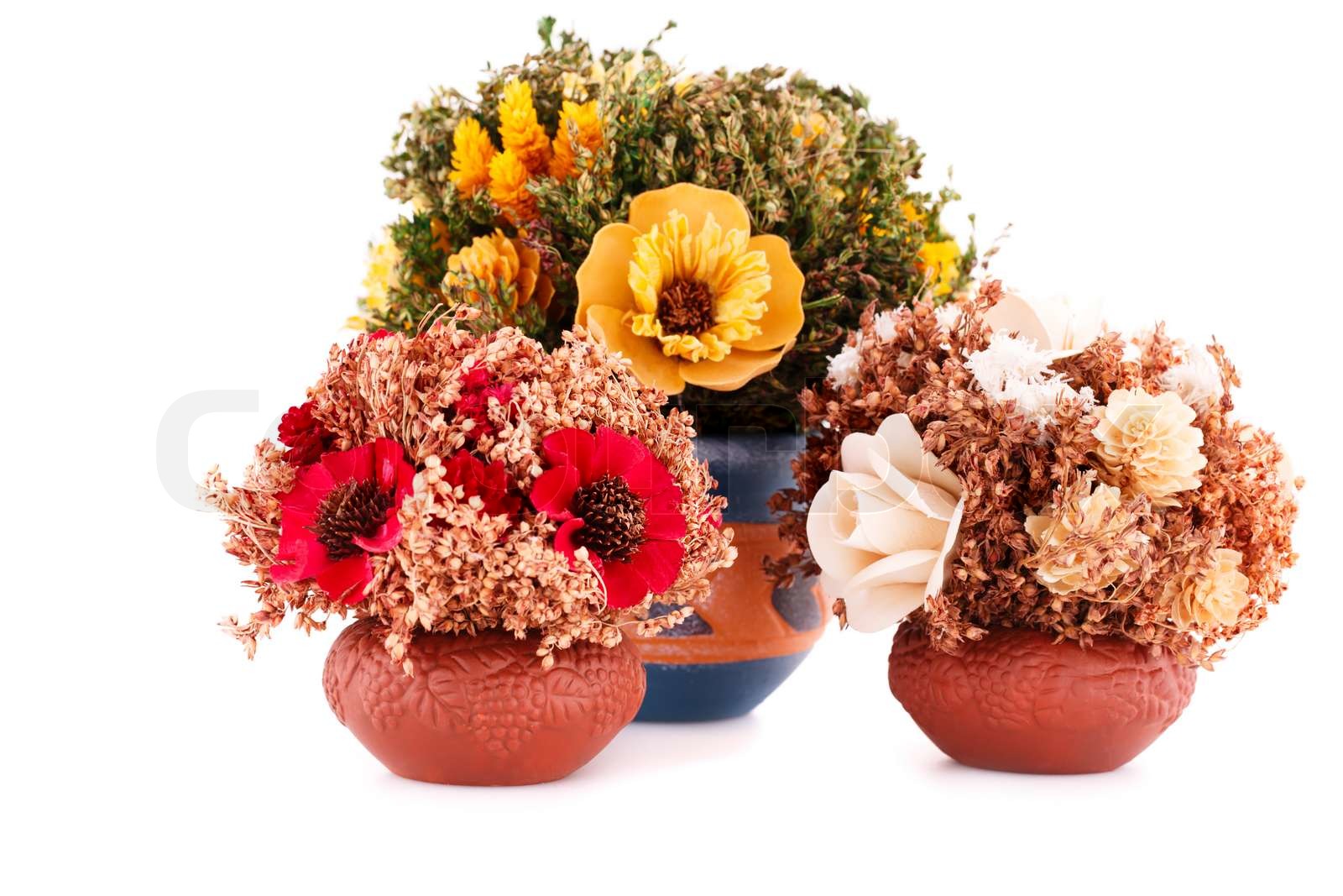 Blumen in Vasen | Stock Bild | Colourbox