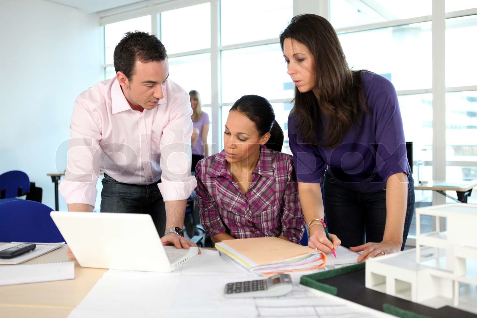 Colleagues at work | Stock image | Colourbox