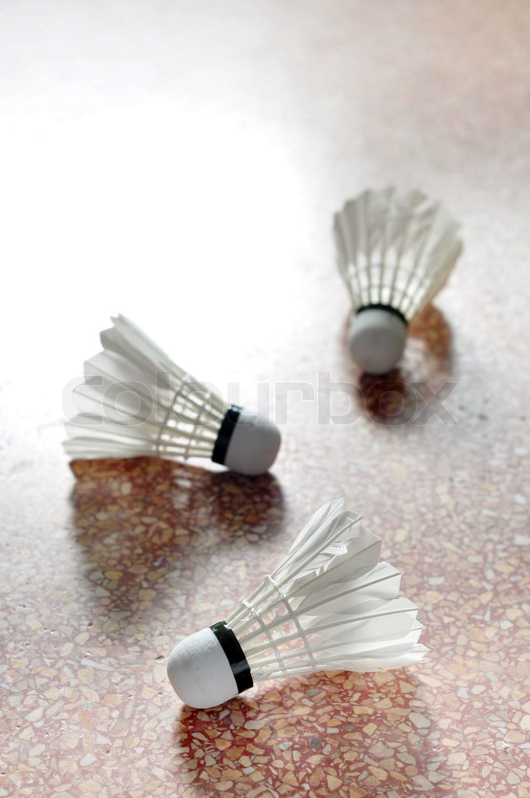 Badminton Kit | Stock image | Colourbox