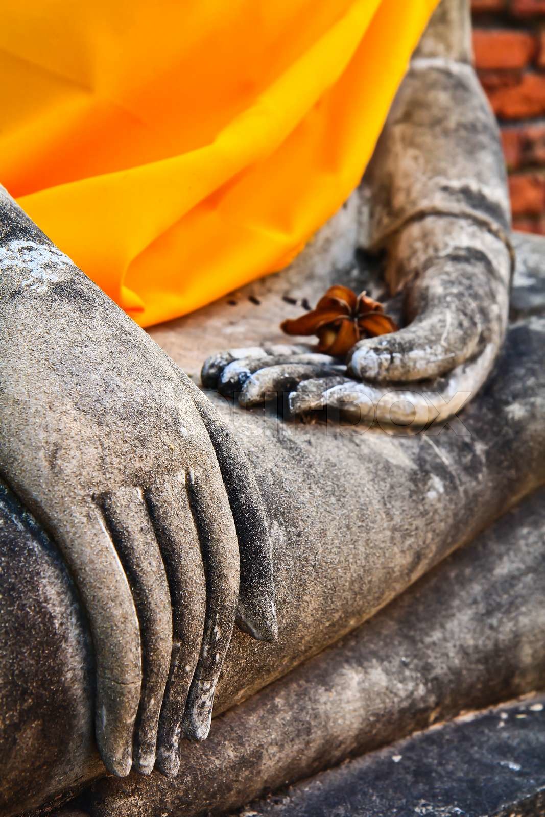 buddha hand buddhism | Stock image | Colourbox