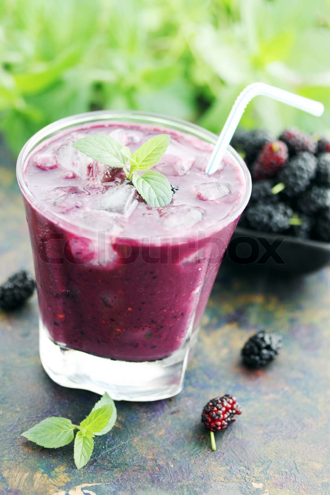 Cocktail of yogurt with mulberry | Stock image | Colourbox