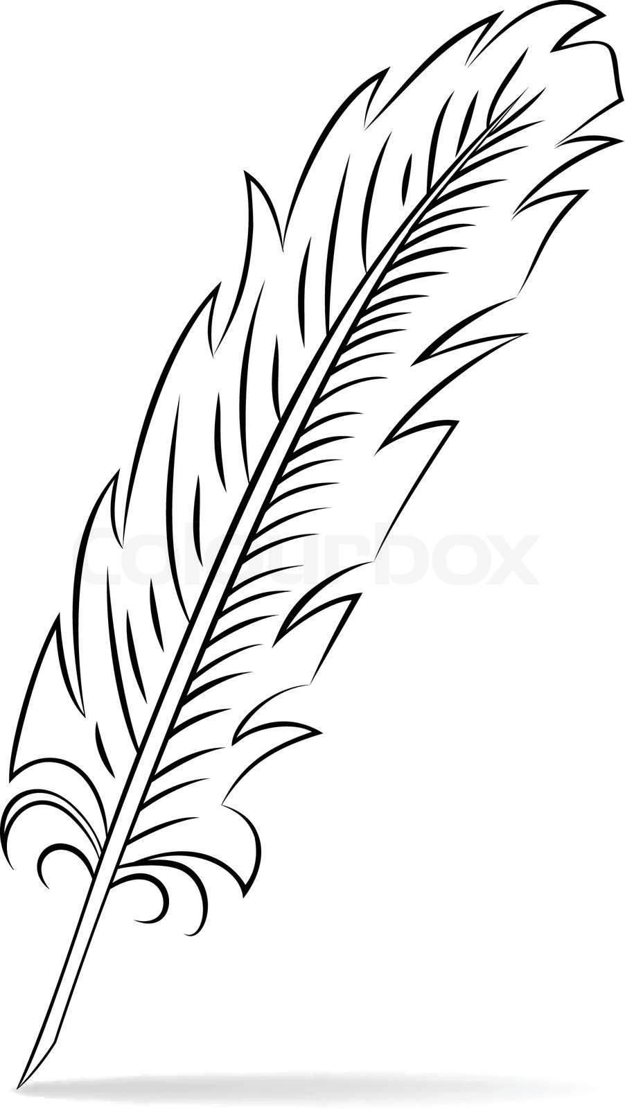 Hand gezeichnete Feder | Stock-Vektor | Colourbox