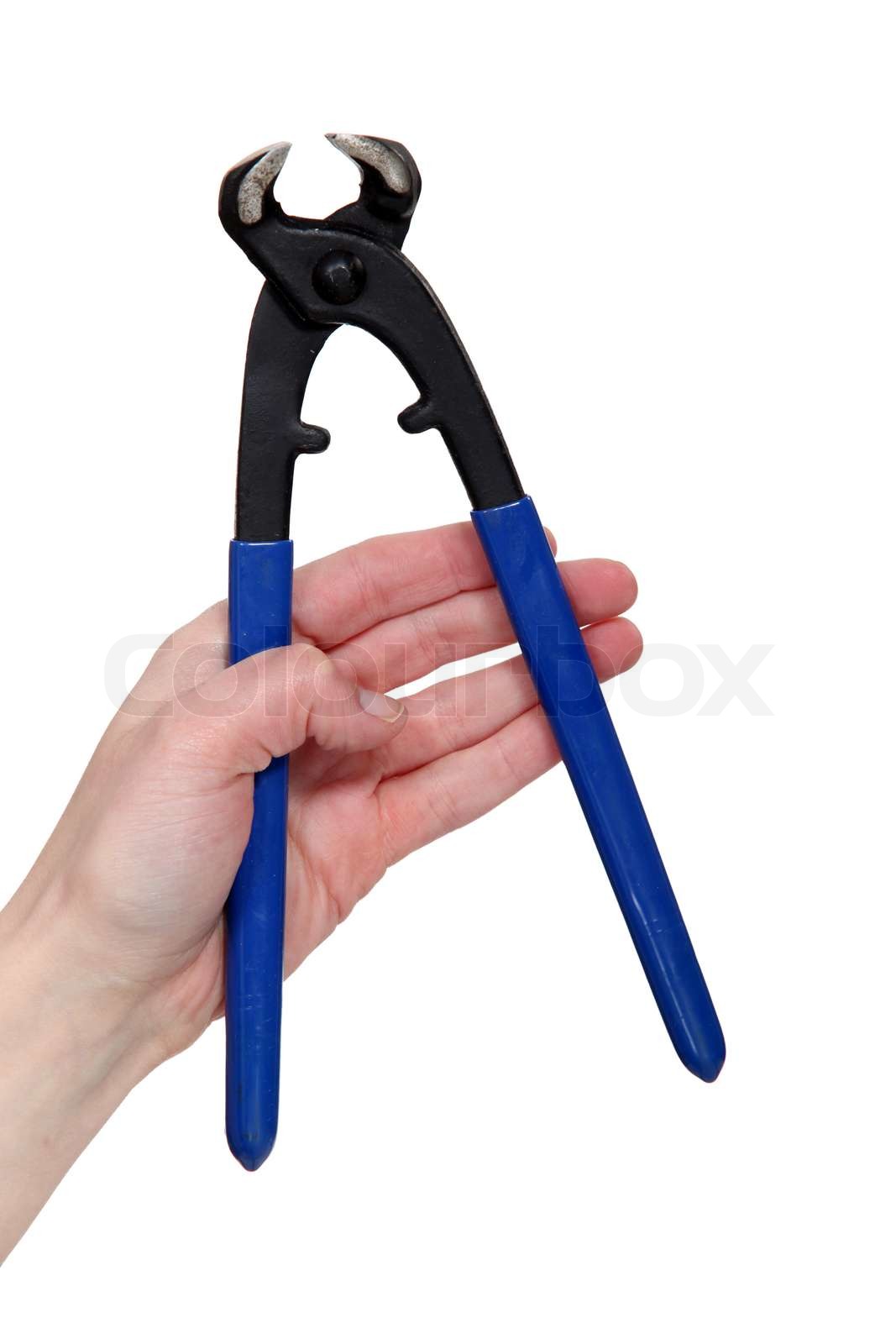 Metal cutters | Stock image | Colourbox