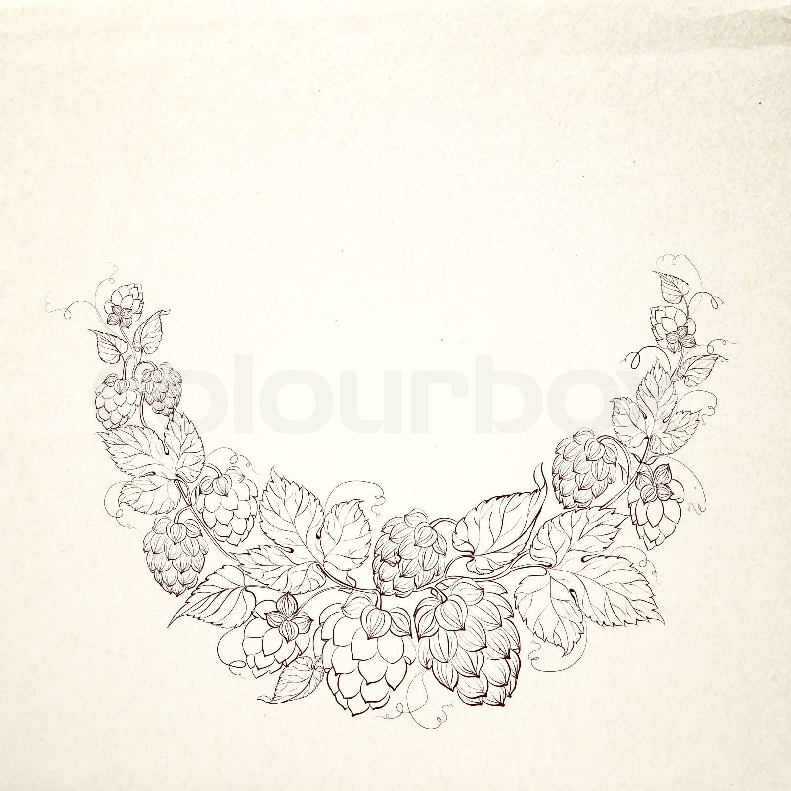 Decorative hops garland | Stock image | Colourbox