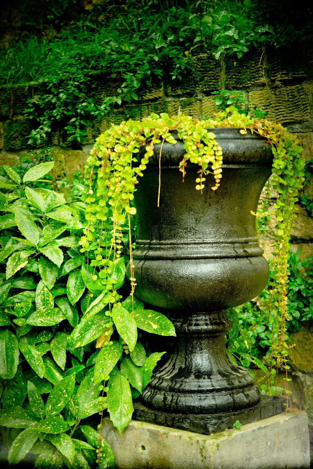 statue vase | Stock image | Colourbox