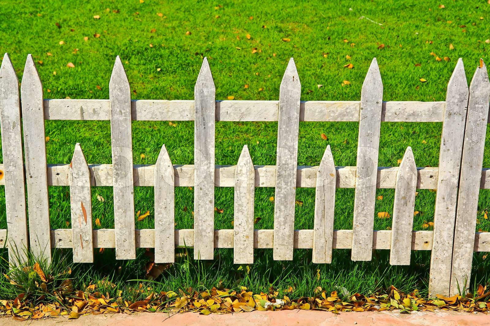 Zaun Mit Rasenkante