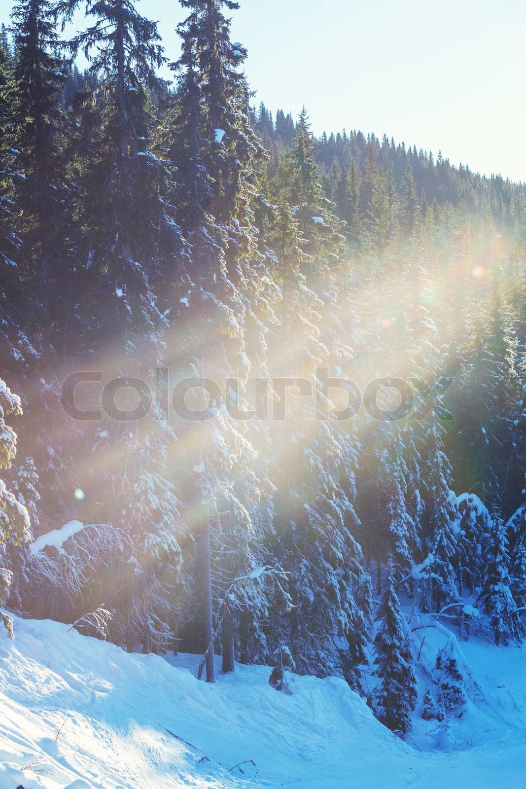 Wintersaison | Stock Bild | Colourbox