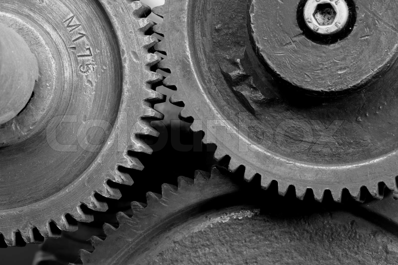 Gears | Stock image | Colourbox