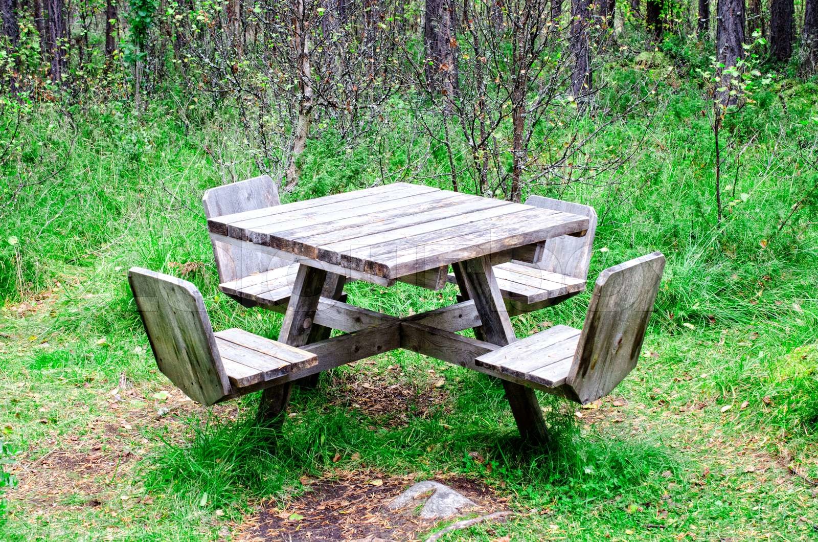 table in forest at rest area | Stock image | Colourbox