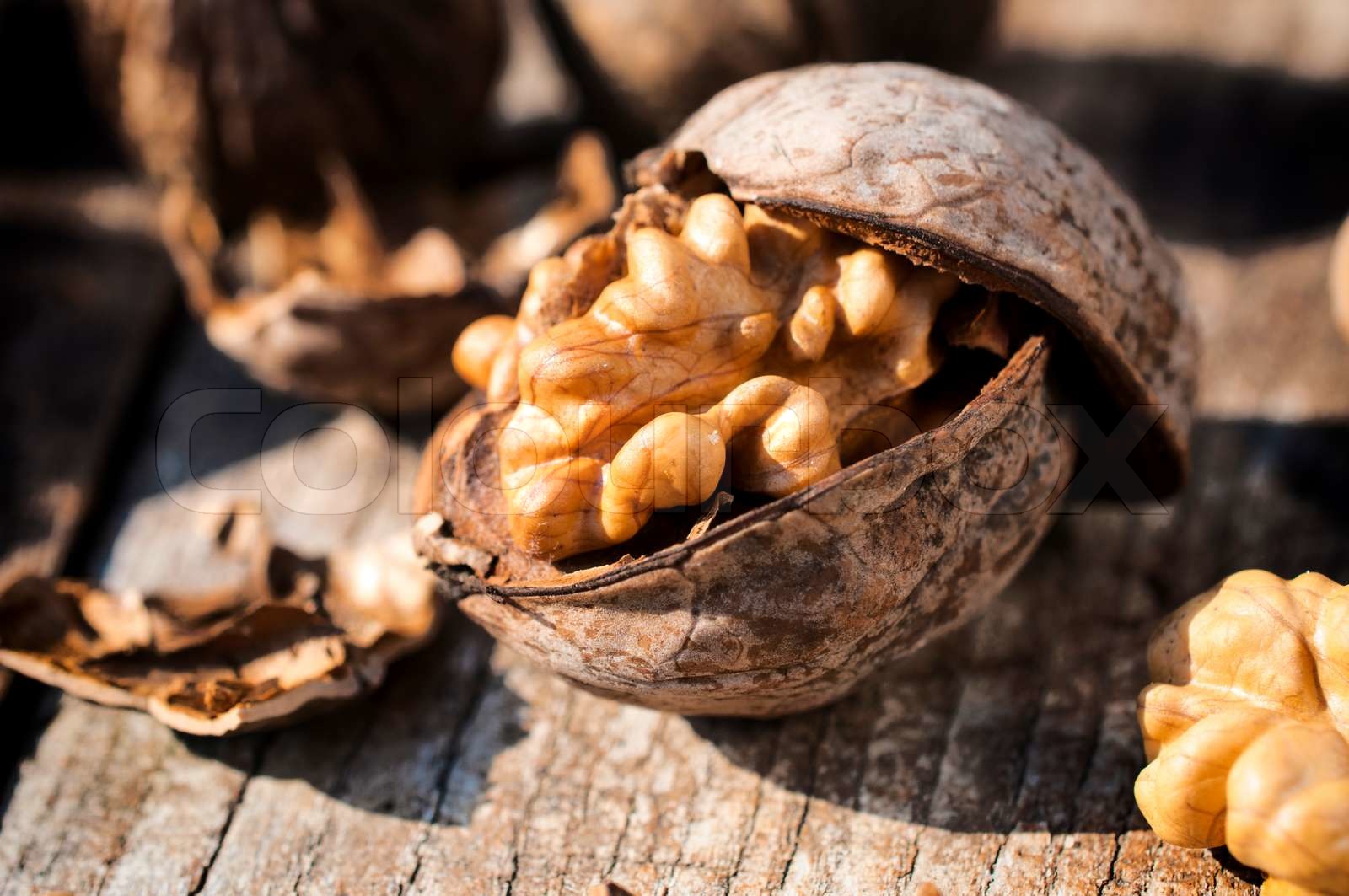 Walnuts in shell | Stock image | Colourbox