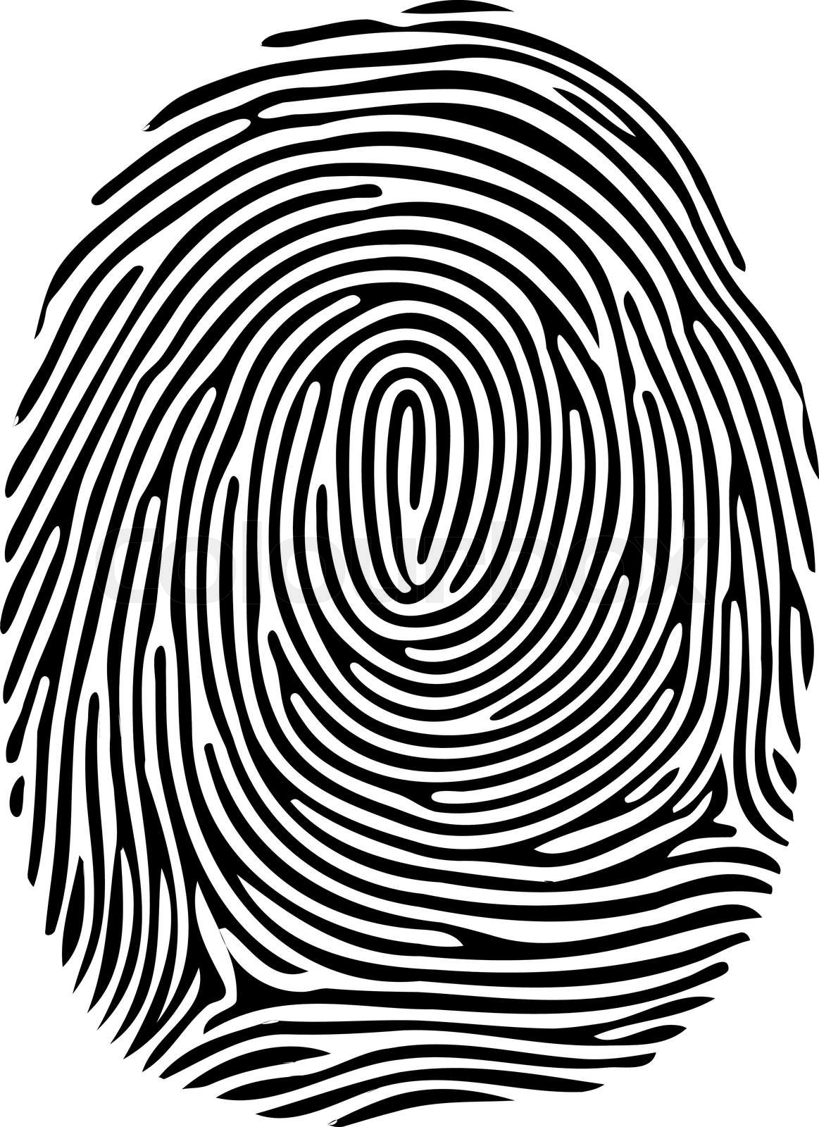 Vector black isolated fingerprint on white background | Stock vector ...