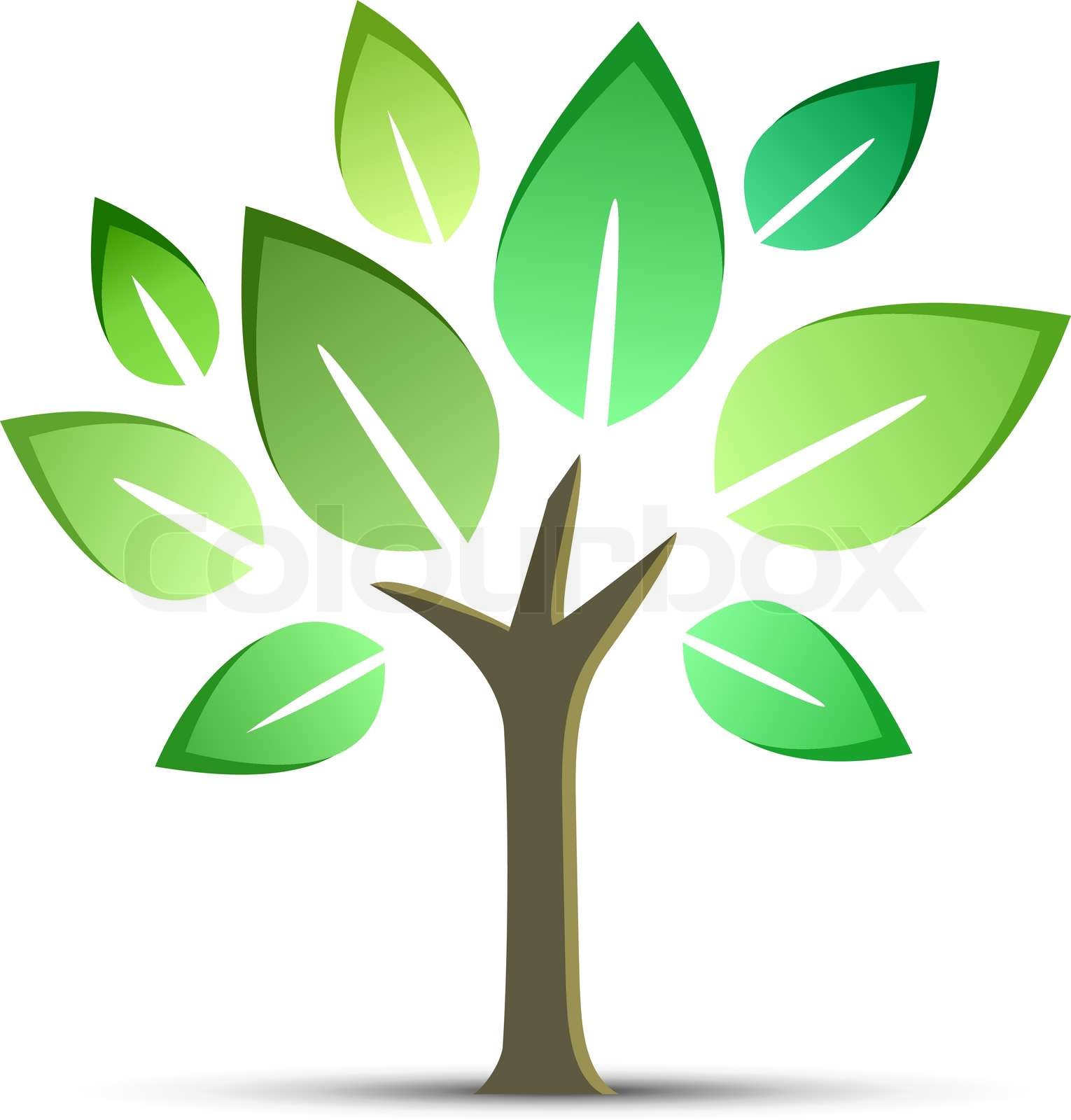 Vektor isolierte Baum auf weißem Hintergrund | Stock-Vektor | Colourbox
