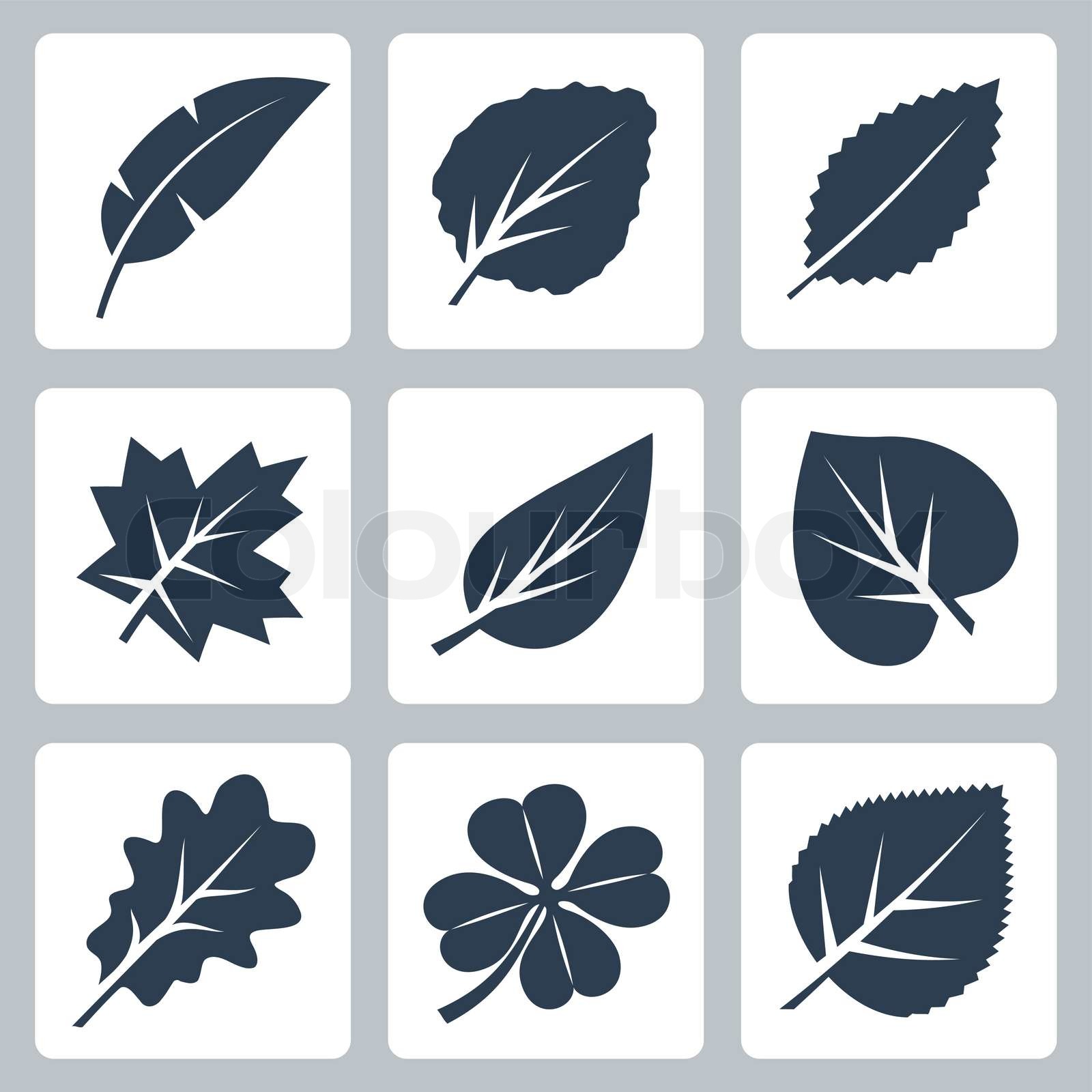 Vector Baum Blätter Icons | Stock-Vektor | Colourbox