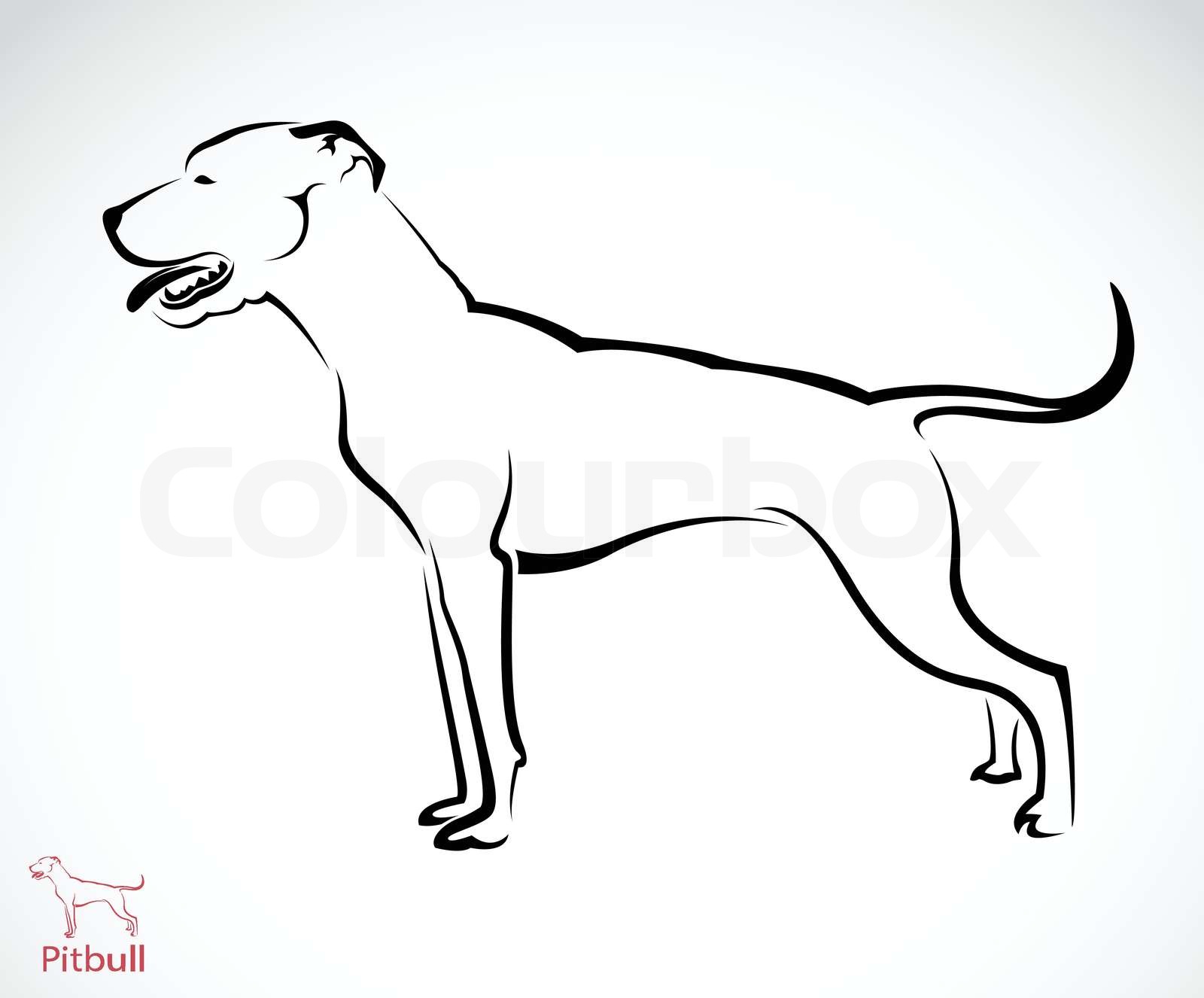 Mean Pitbull Outline