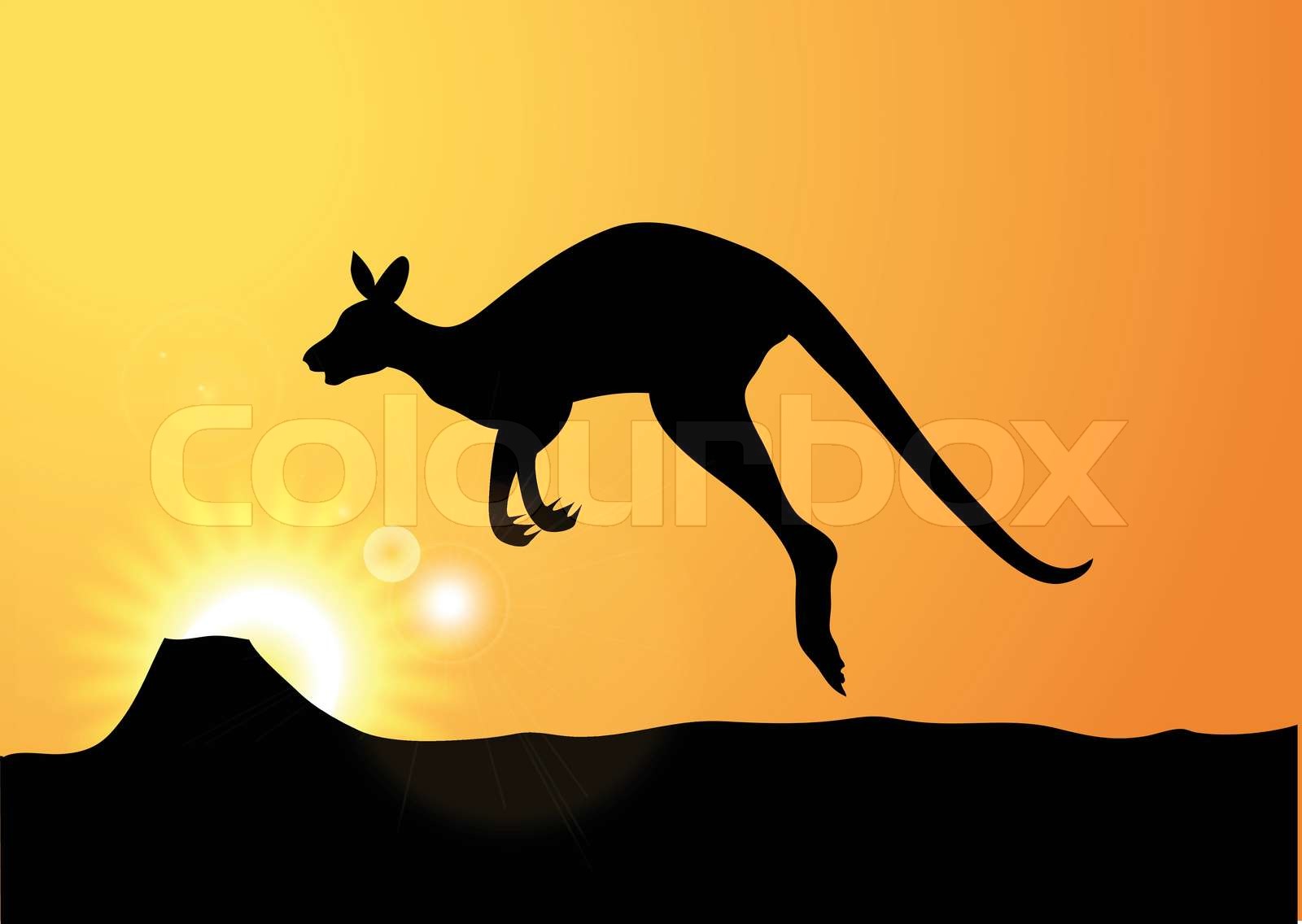 kangaroo | Stock vector | Colourbox