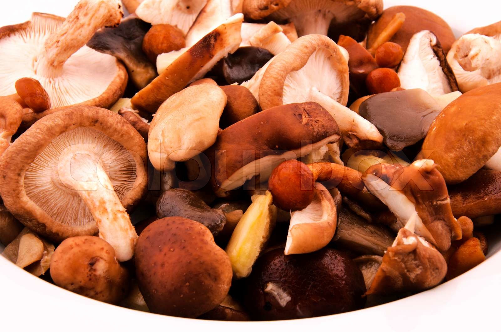 Mushrooms mix | Stock image | Colourbox