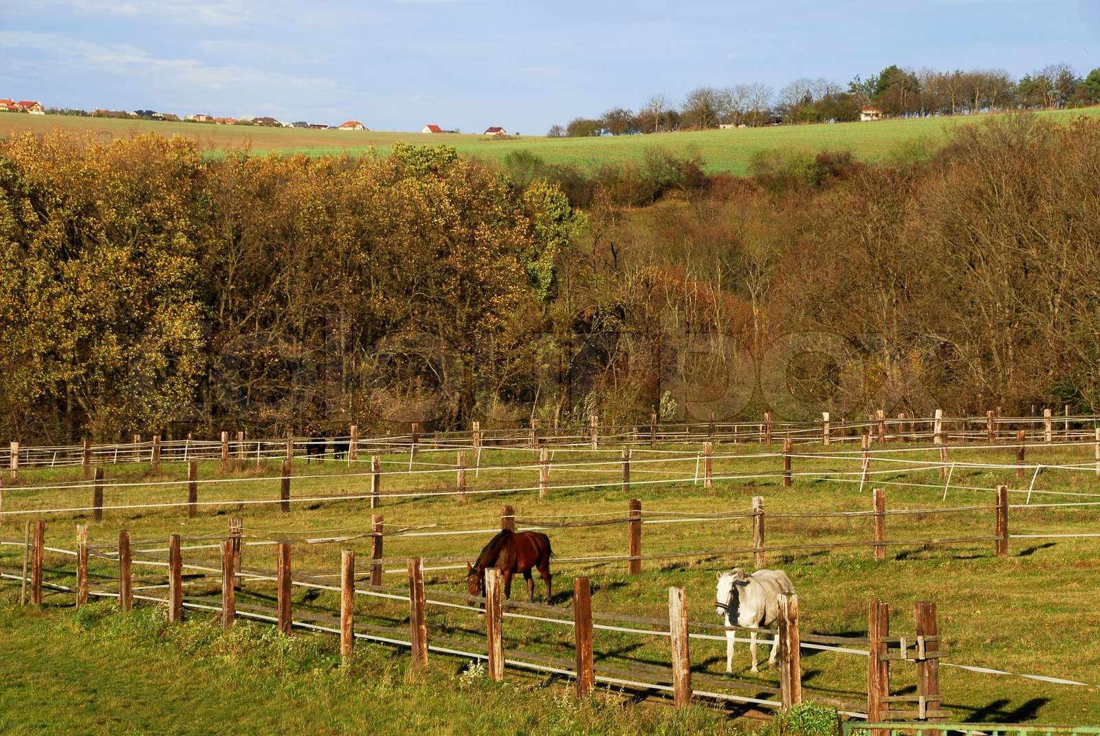 corral | Stock image | Colourbox