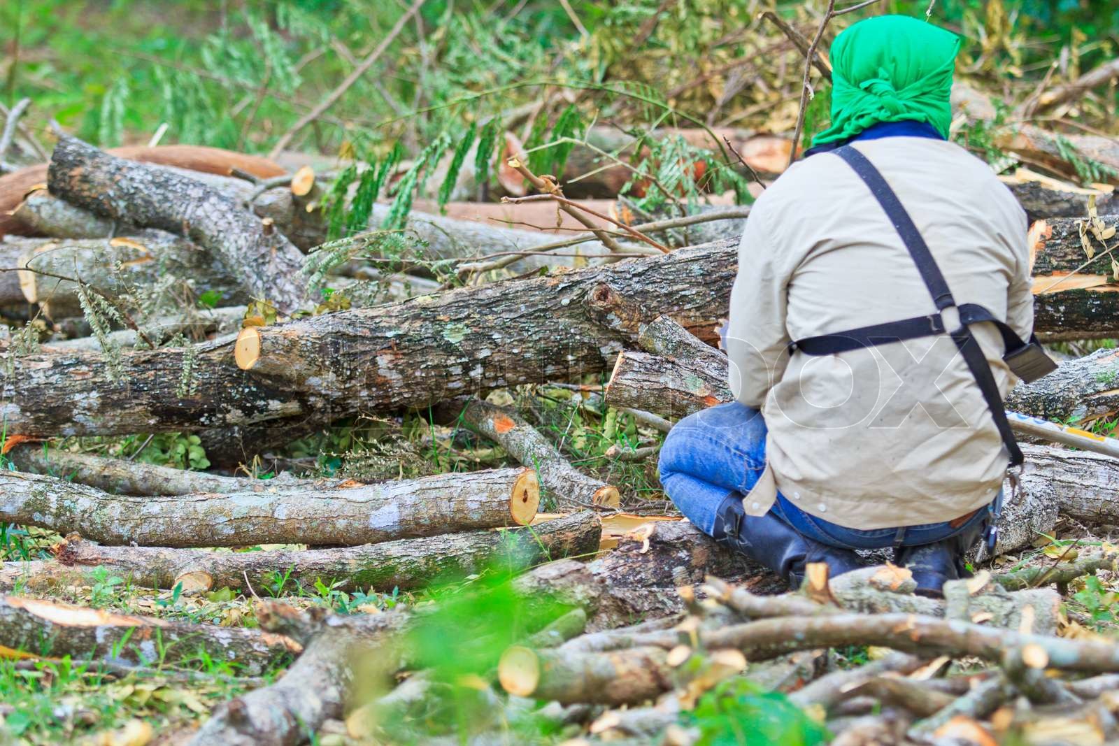 Man cutting piece of wood Cutting wood | Stock image | Colourbox