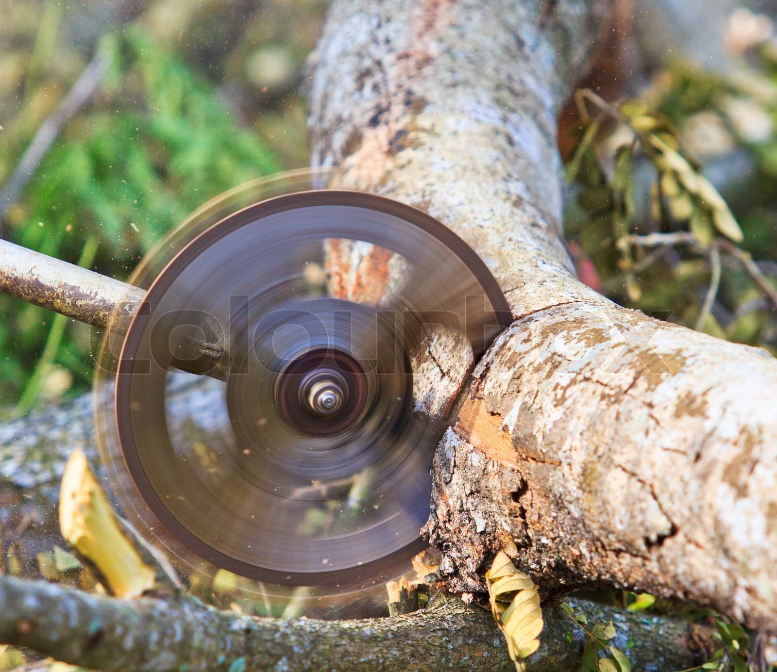 Man cutting piece of wood Cutting wood | Stock image | Colourbox