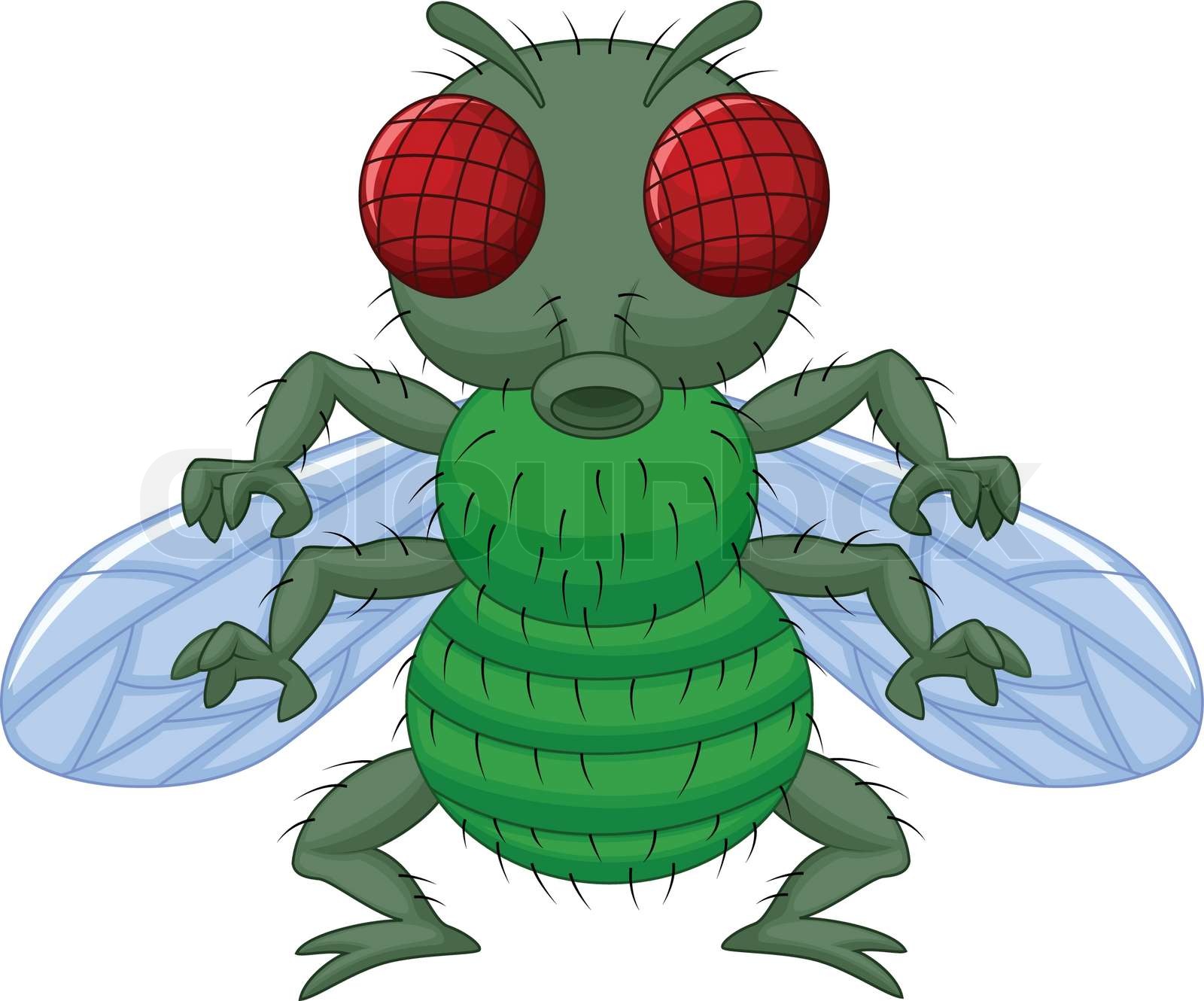 Fly cartoon character | Stock vector | Colourbox
